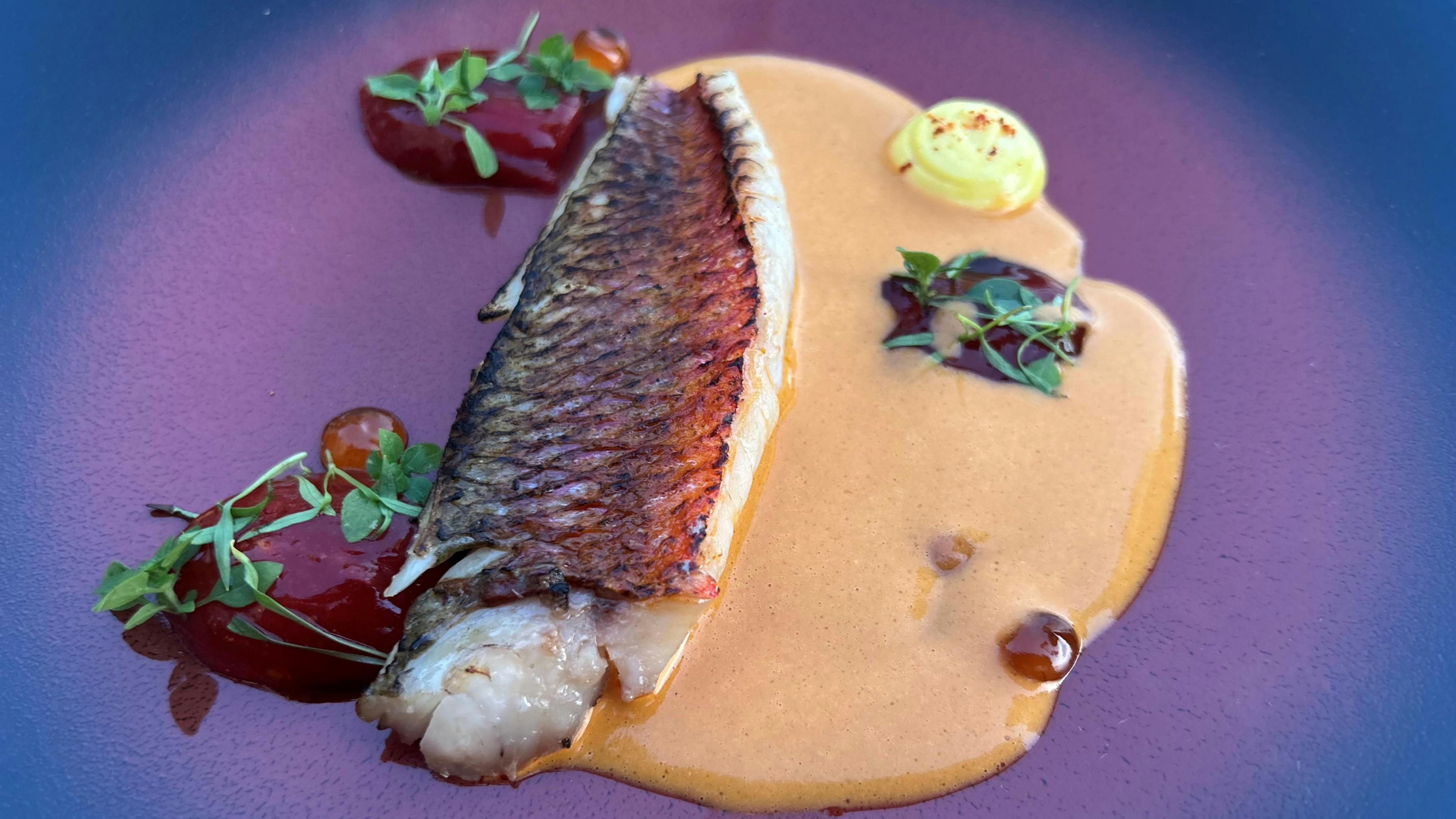 Gourmet Fish Dish with Sauce and Herbs · Free Stock Photo