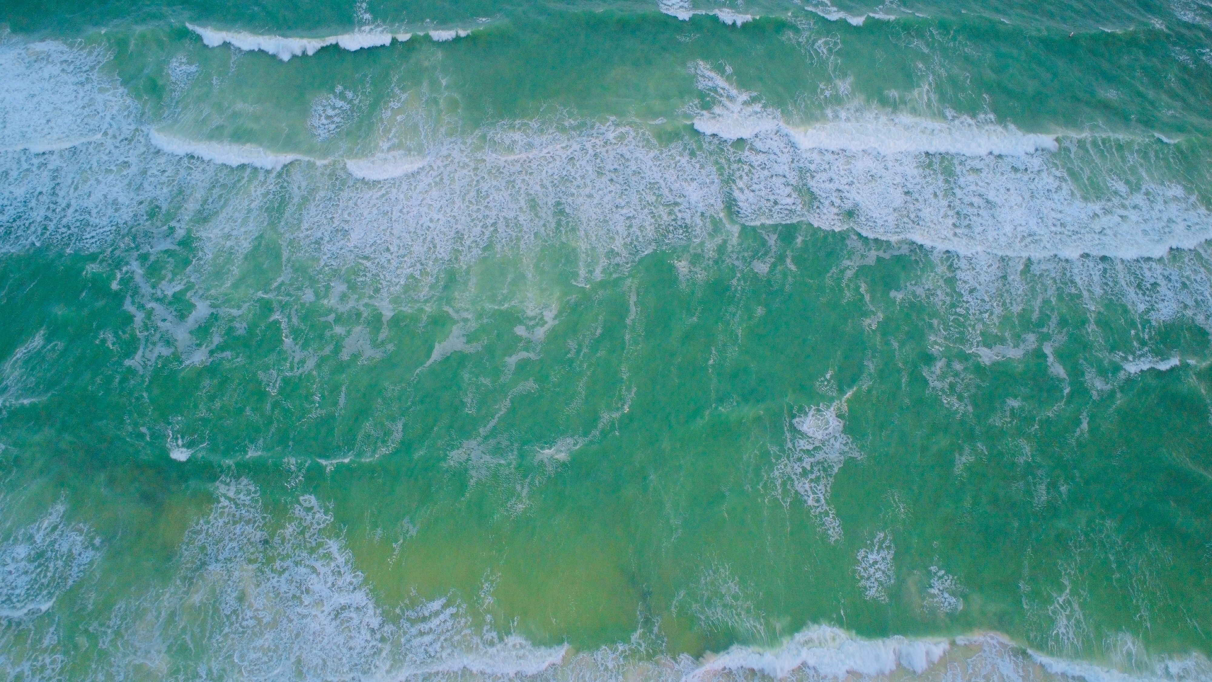 Edit in Canva