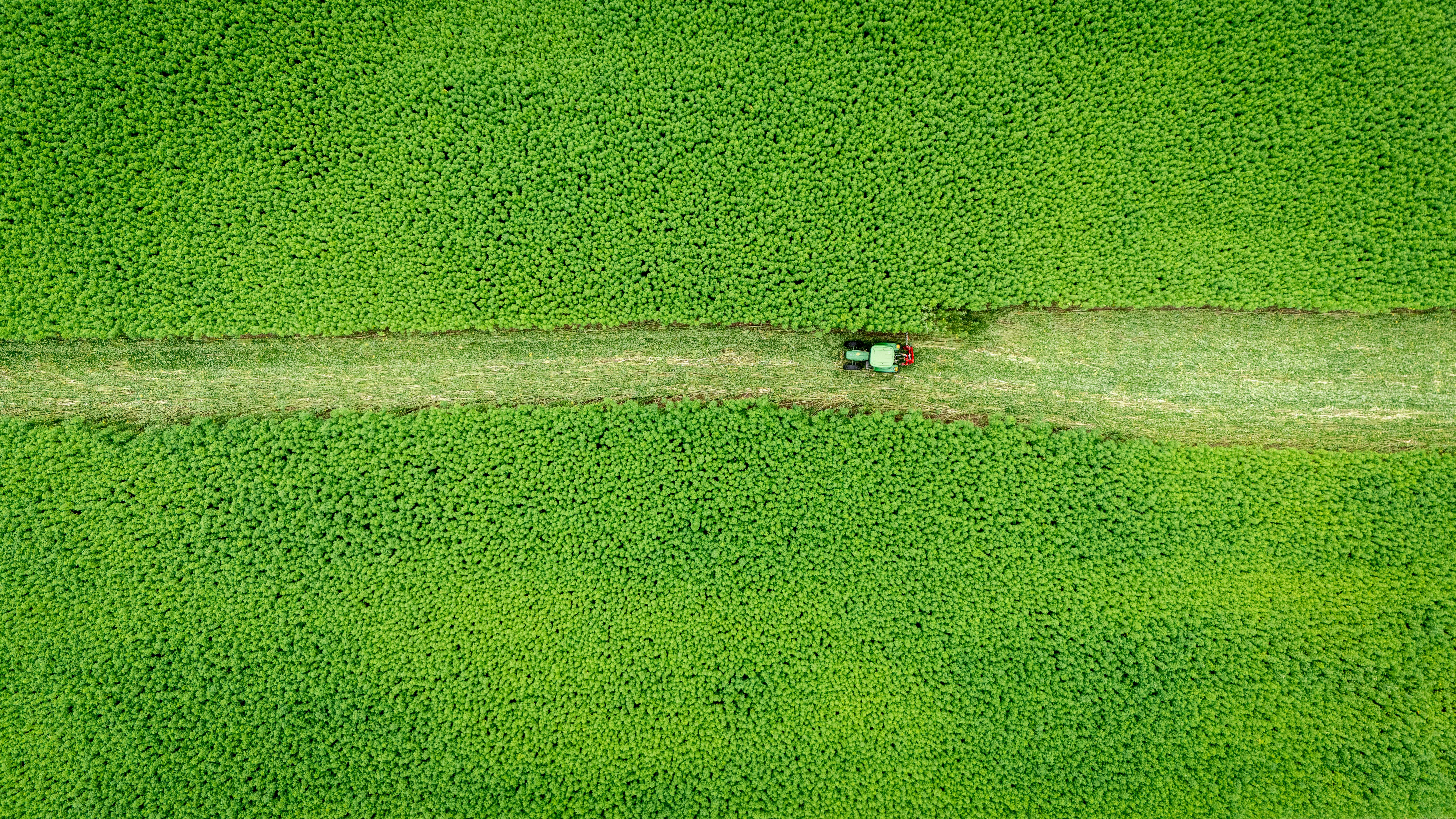 Tech Drams Photos, Download The BEST Free Tech Drams Stock Photos & HD ...