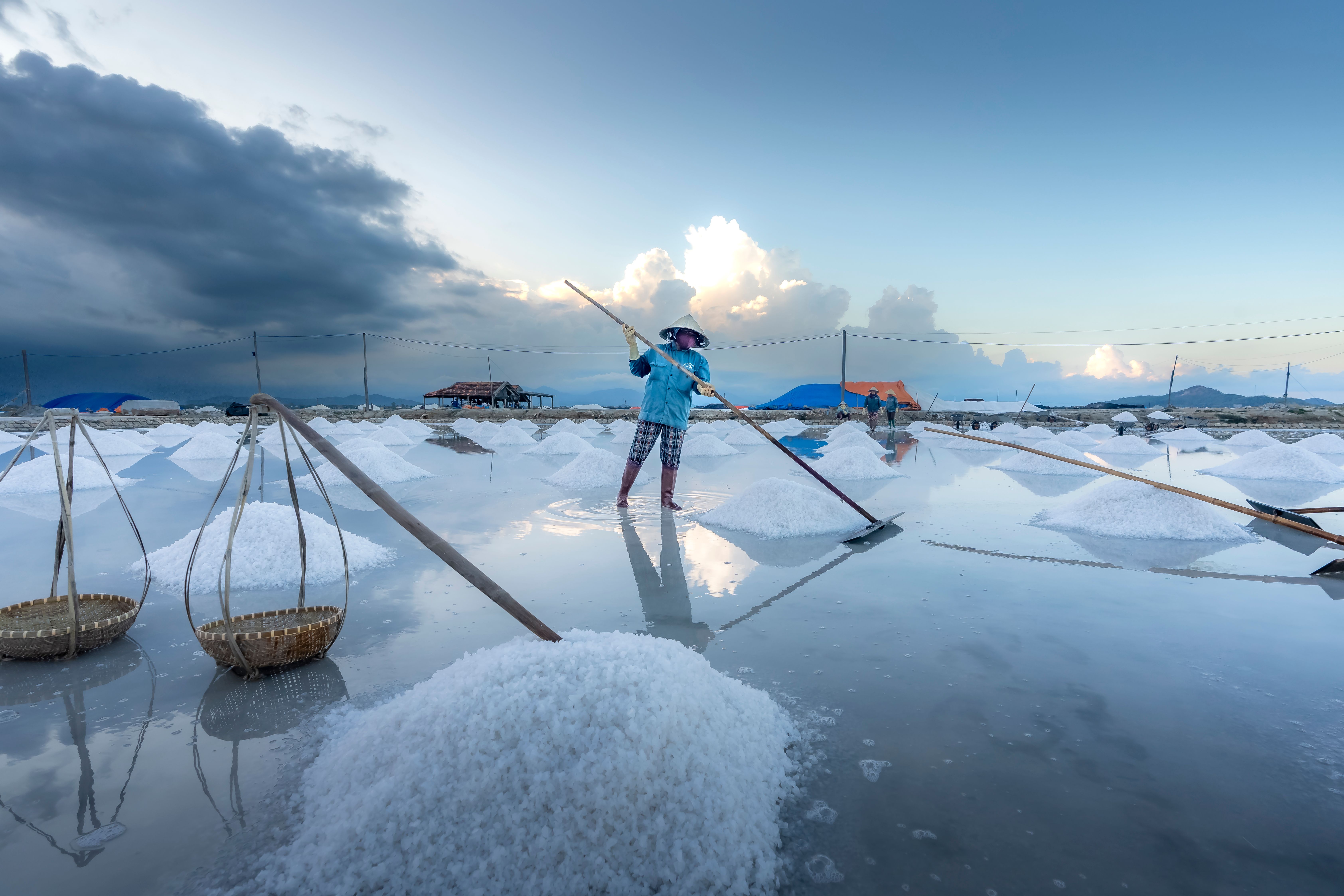 Salt Harvesting at Dawn in Coastal Salt Flats · Free Stock Photo