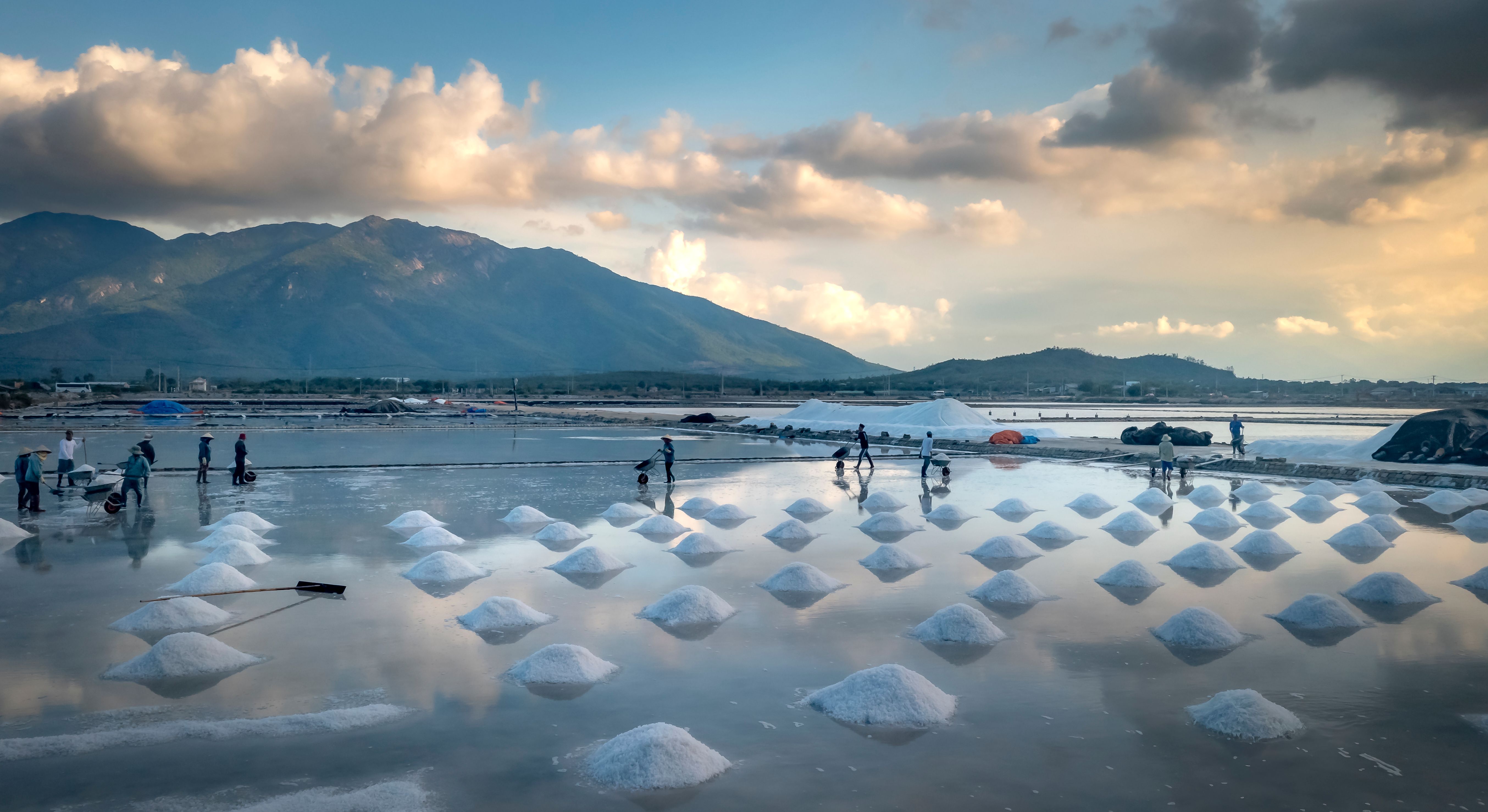 Workers Collecting Salt in Coastal Salt Pans · Free Stock Photo