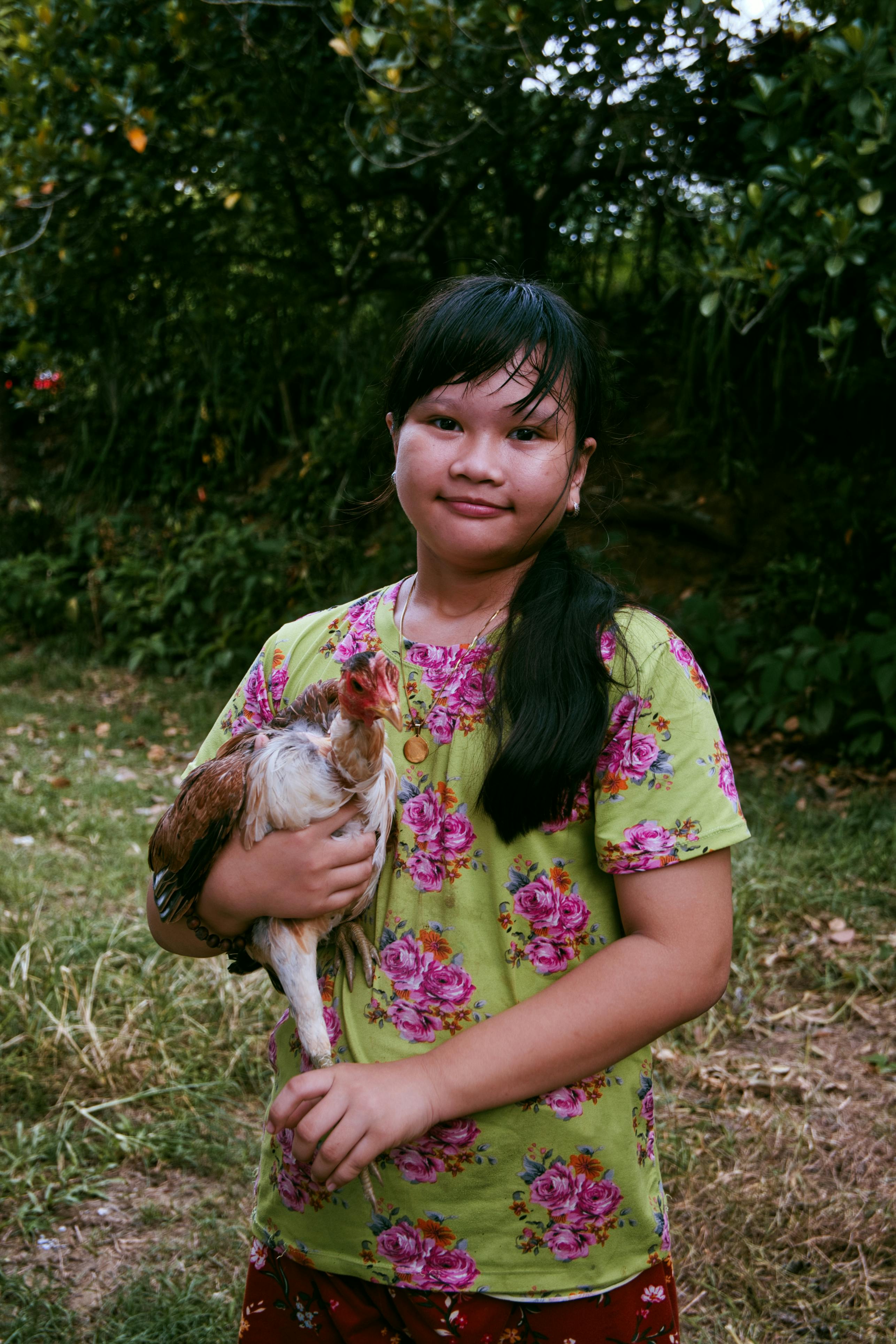 Feather Companions Photos, Download The BEST Free Feather Companions ...