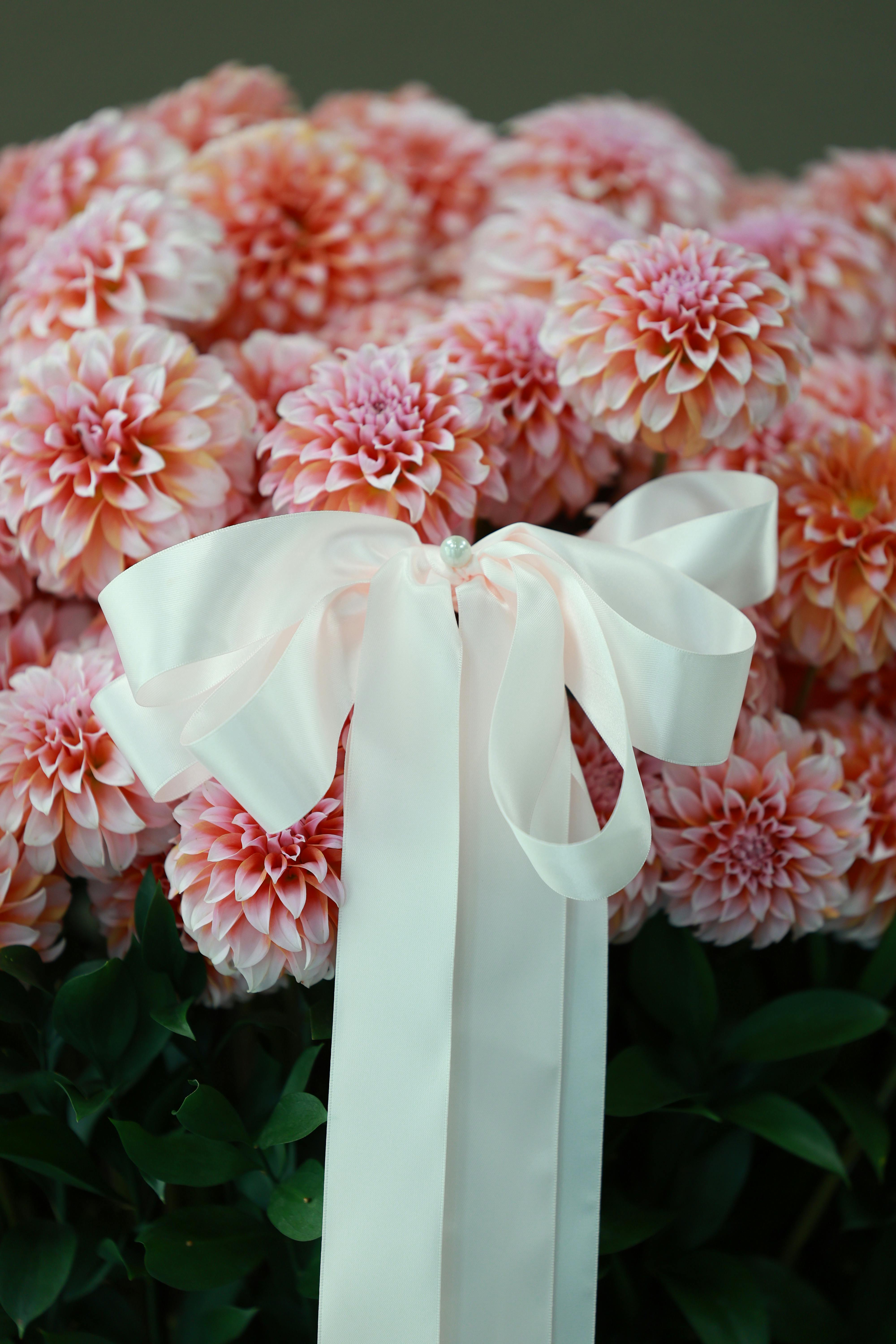 Symmetric Annimation Photos, Download The BEST Free Symmetric ...