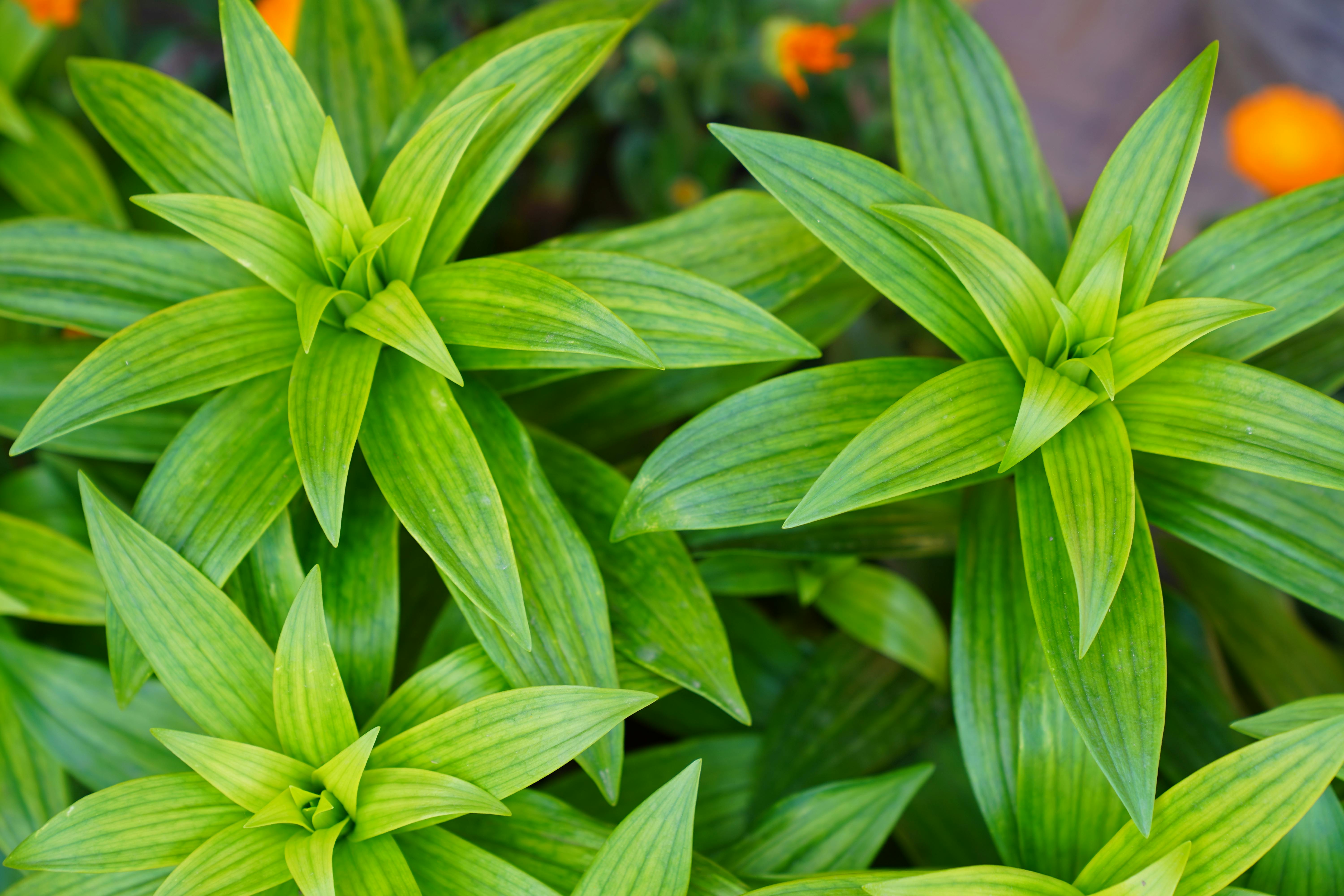 Image+Waptrick+New Photos, Download The BEST Free Image+Waptrick+New ...