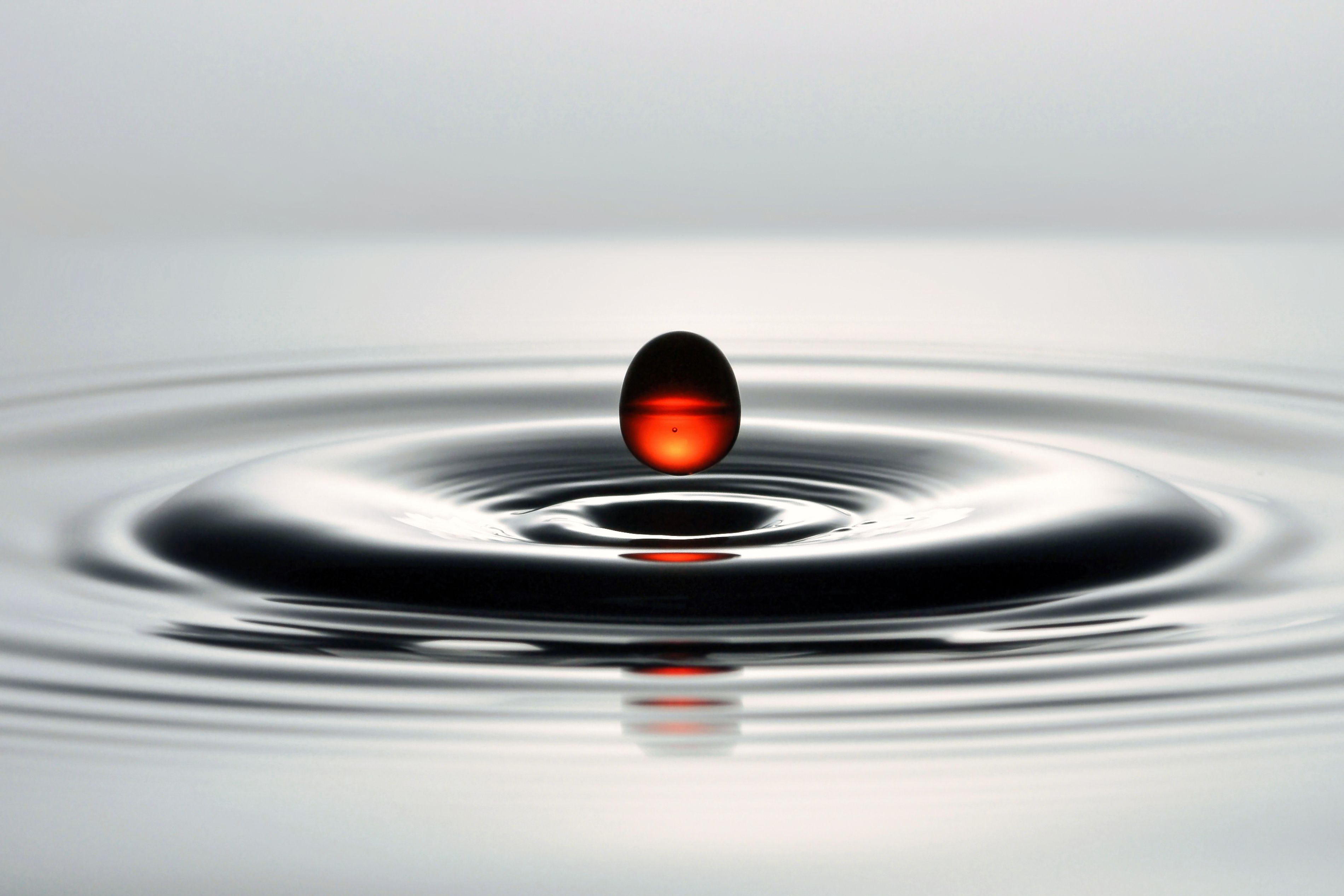 Water Droplet Photos, Download The BEST Free Water Droplet Stock Photos ...