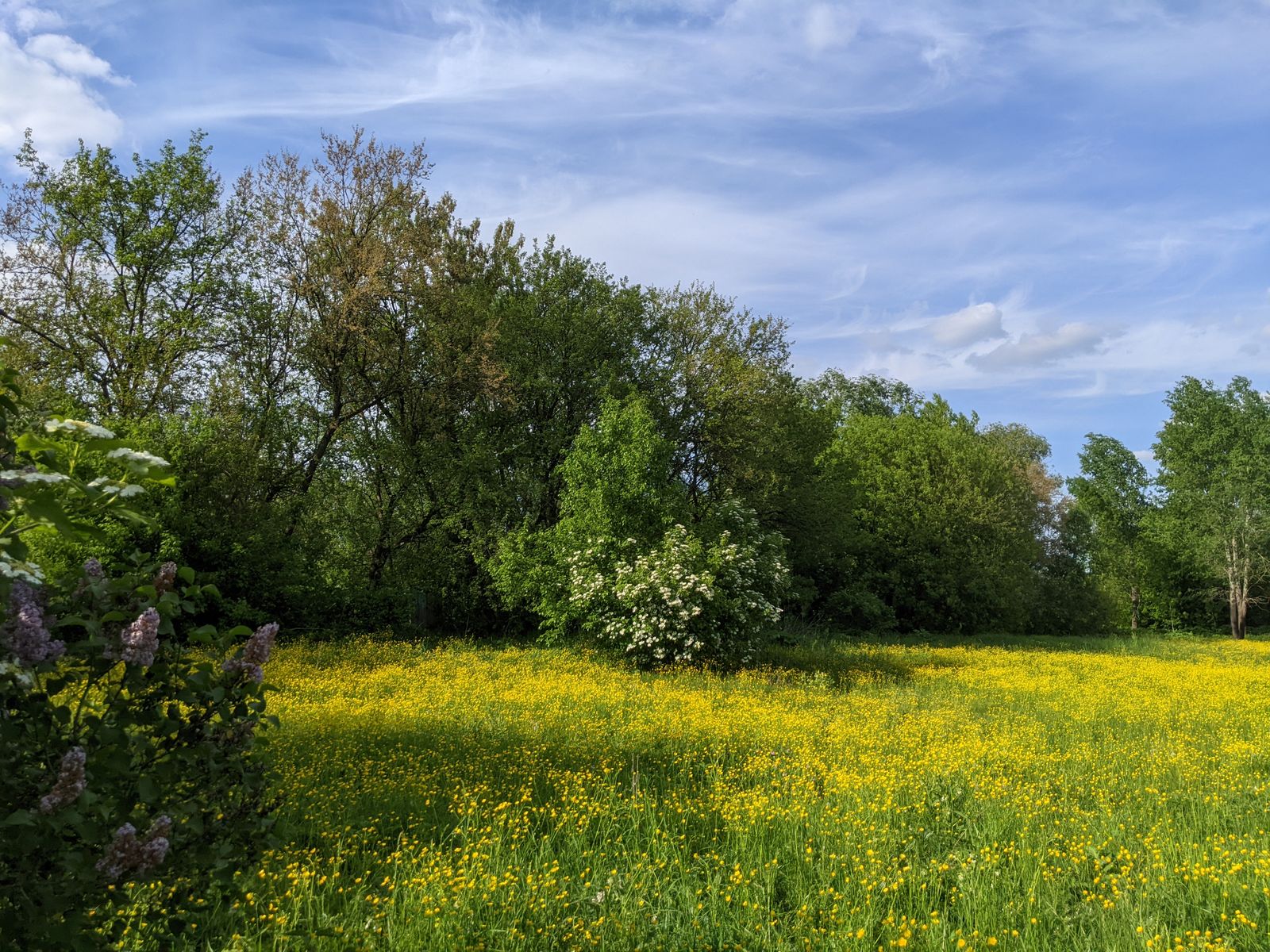 Spring Landscape Photos, Download The BEST Free Spring Landscape Stock ...