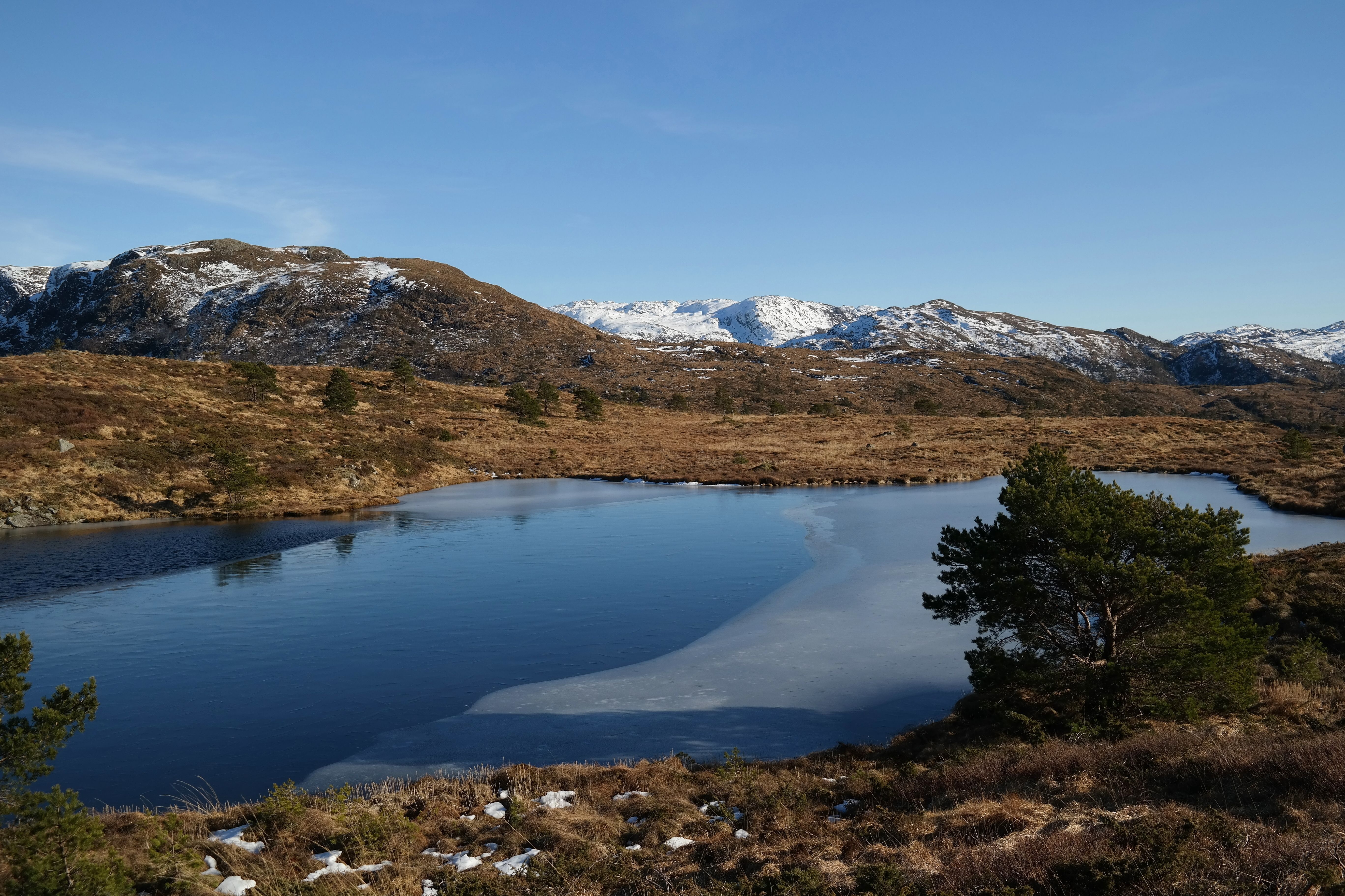 Serene Lake in Fitjar, Vestland, Norway Landscape · Free Stock Photo