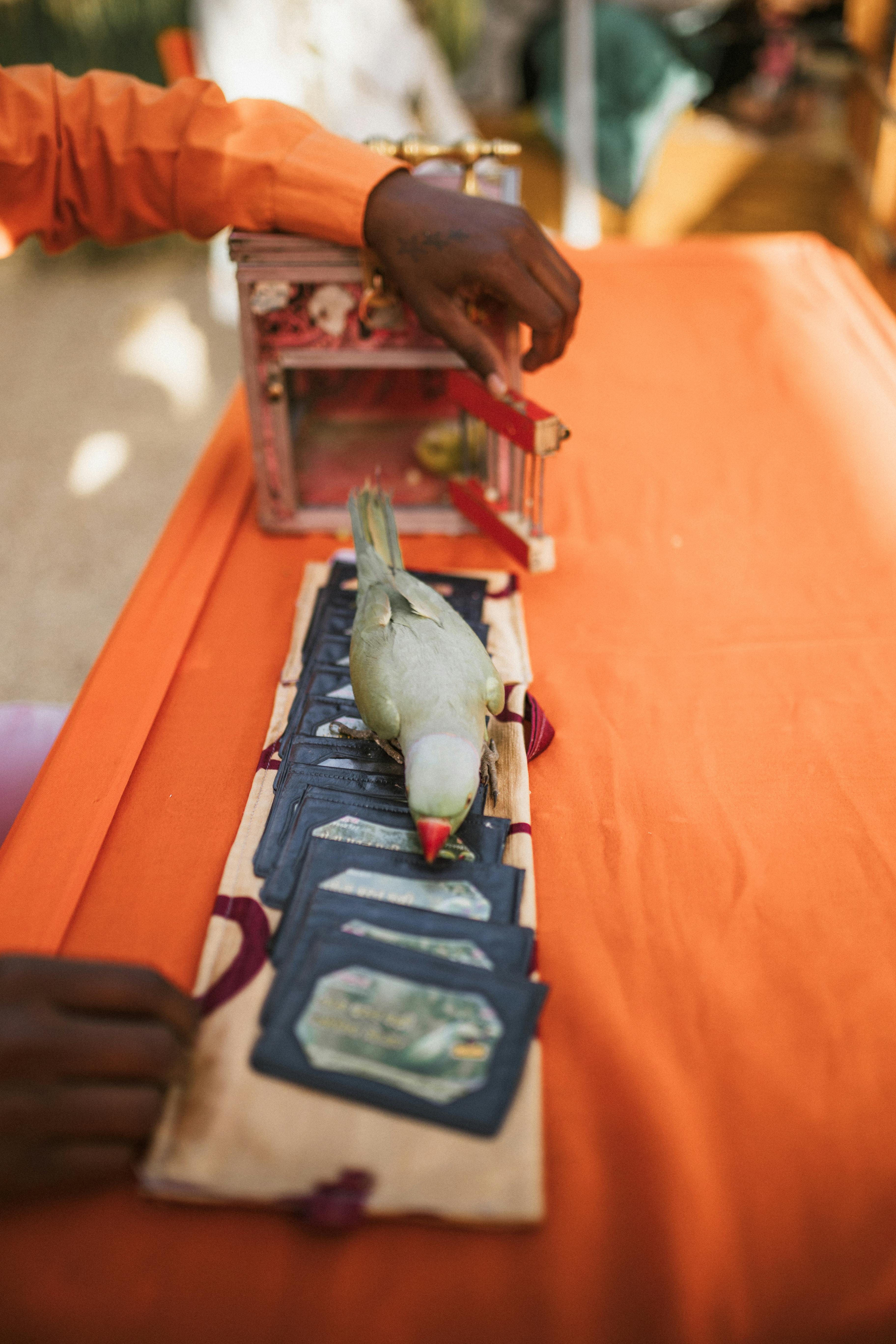 Magic Maria Aktivitas Photos, Download The BEST Free Magic Maria ...