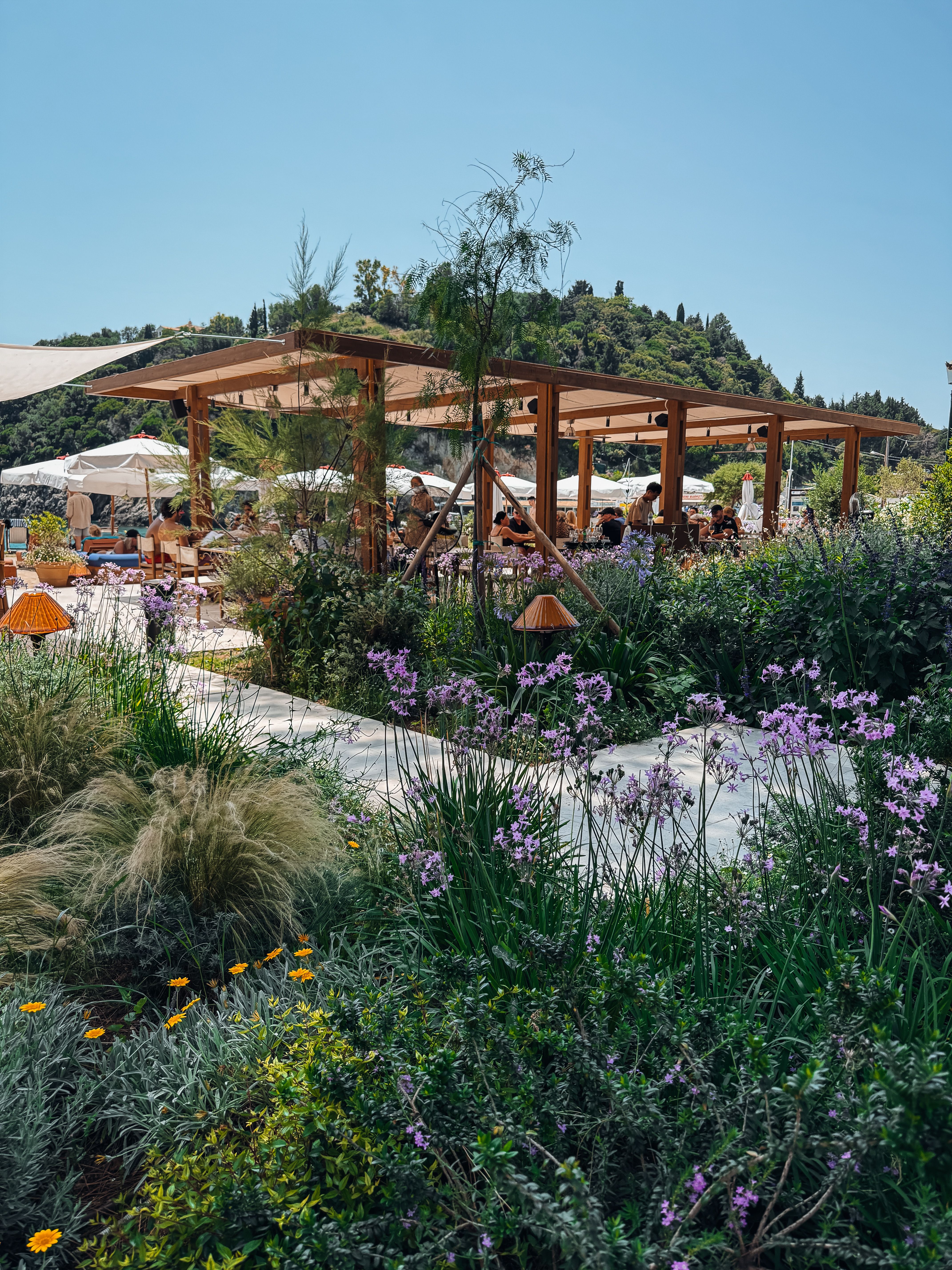 Outdoor Cafe with Natural Garden in Corfu, Greece · Free Stock Photo