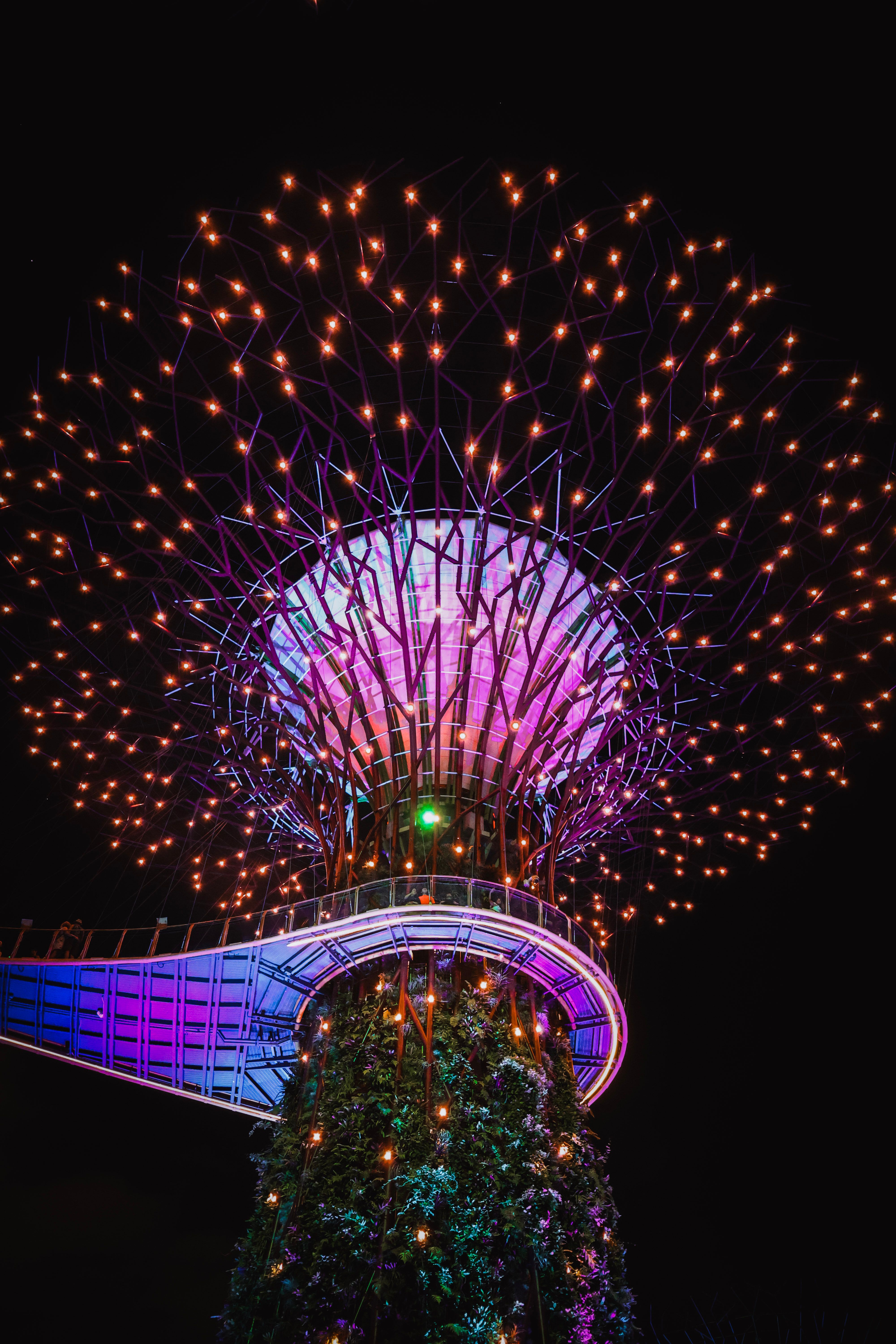 Stunning Night View of Supertree Grove in Singapore · Free Stock Photo