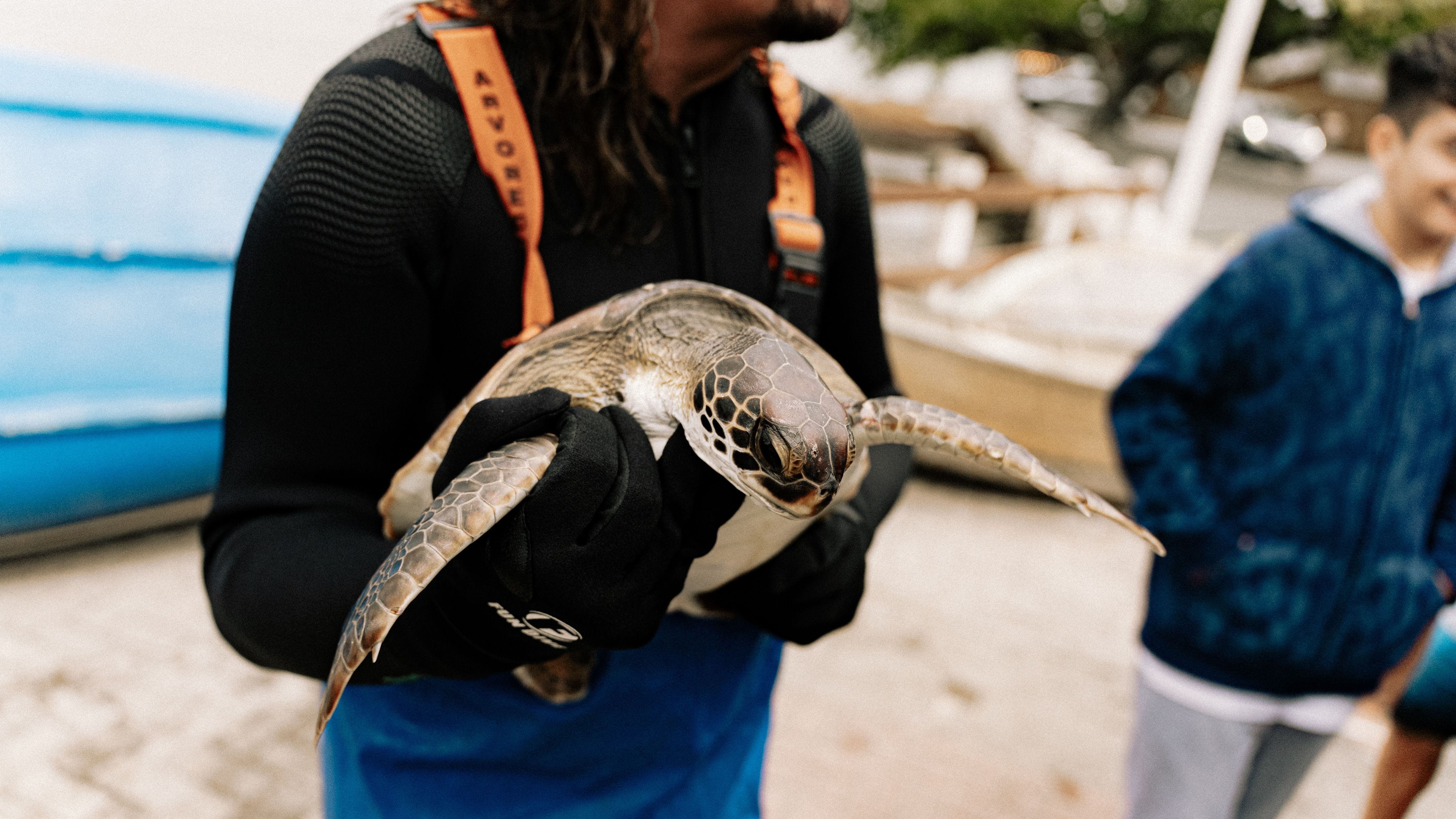 Man Holding Sea Turtle at Rescue Center Outdoors · Free Stock Photo