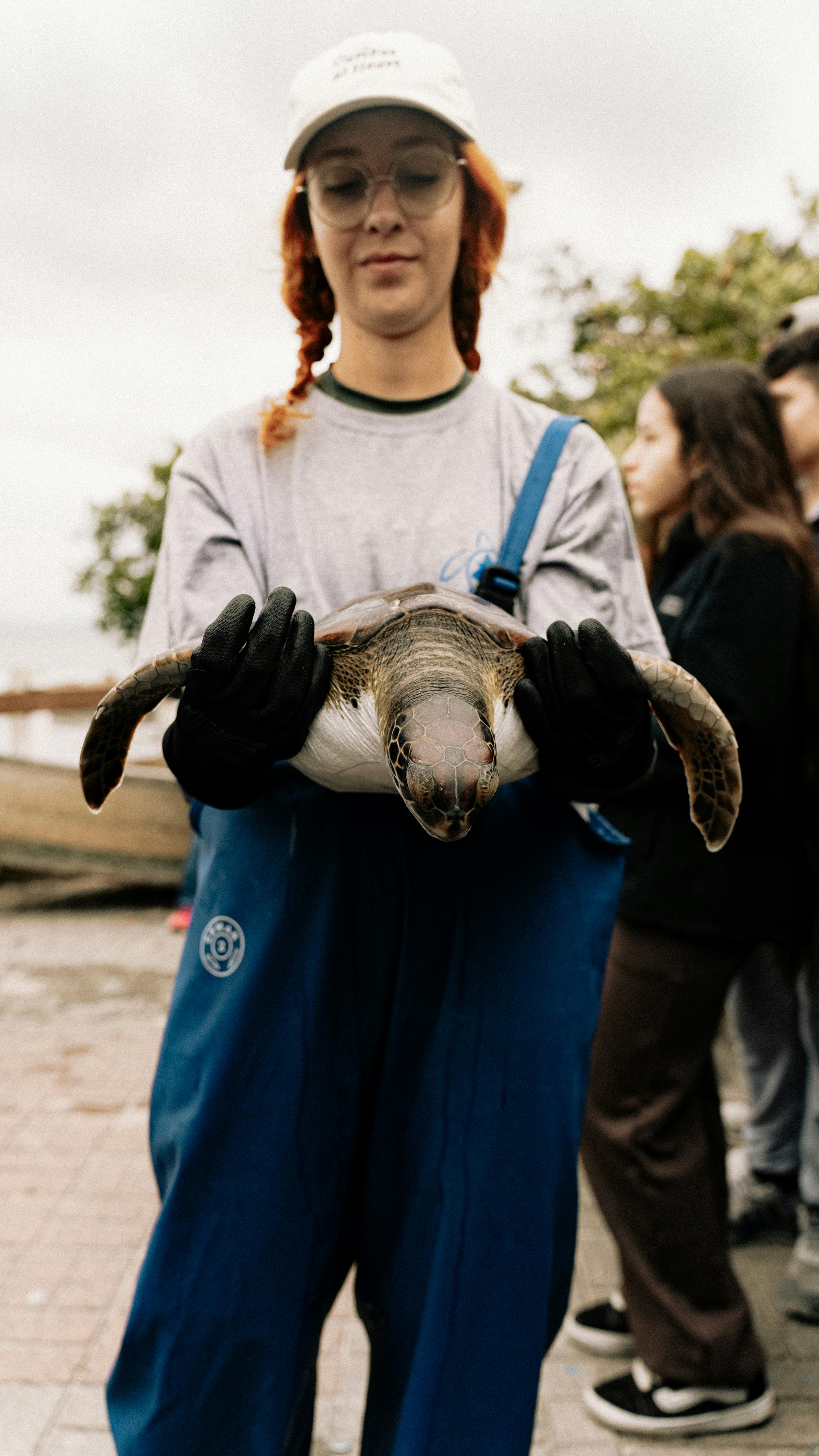 Oceans Merging Photos, Download The BEST Free Oceans Merging Stock ...