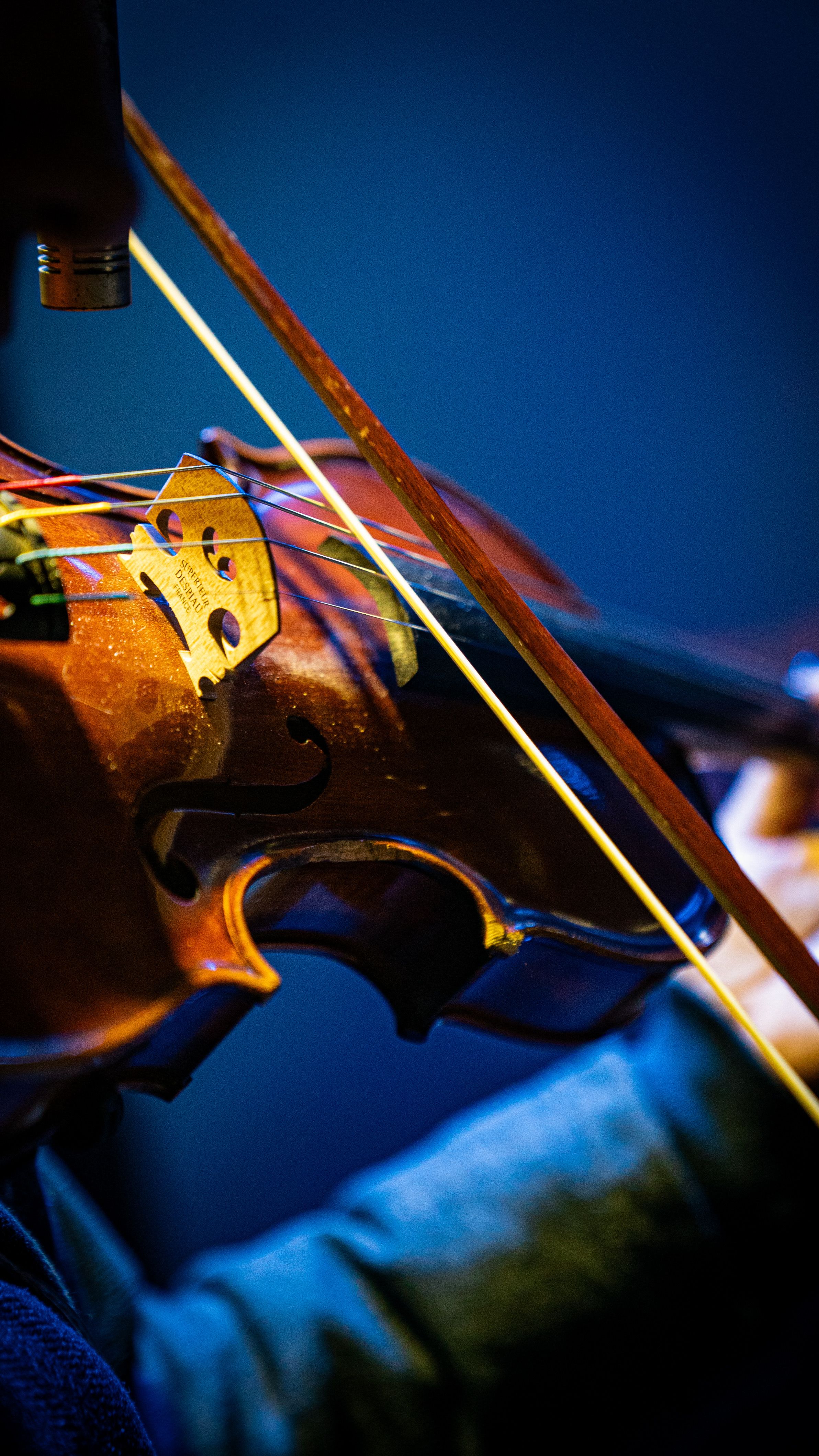 Close-up of a Violin Being Played on Stage · Free Stock Photo