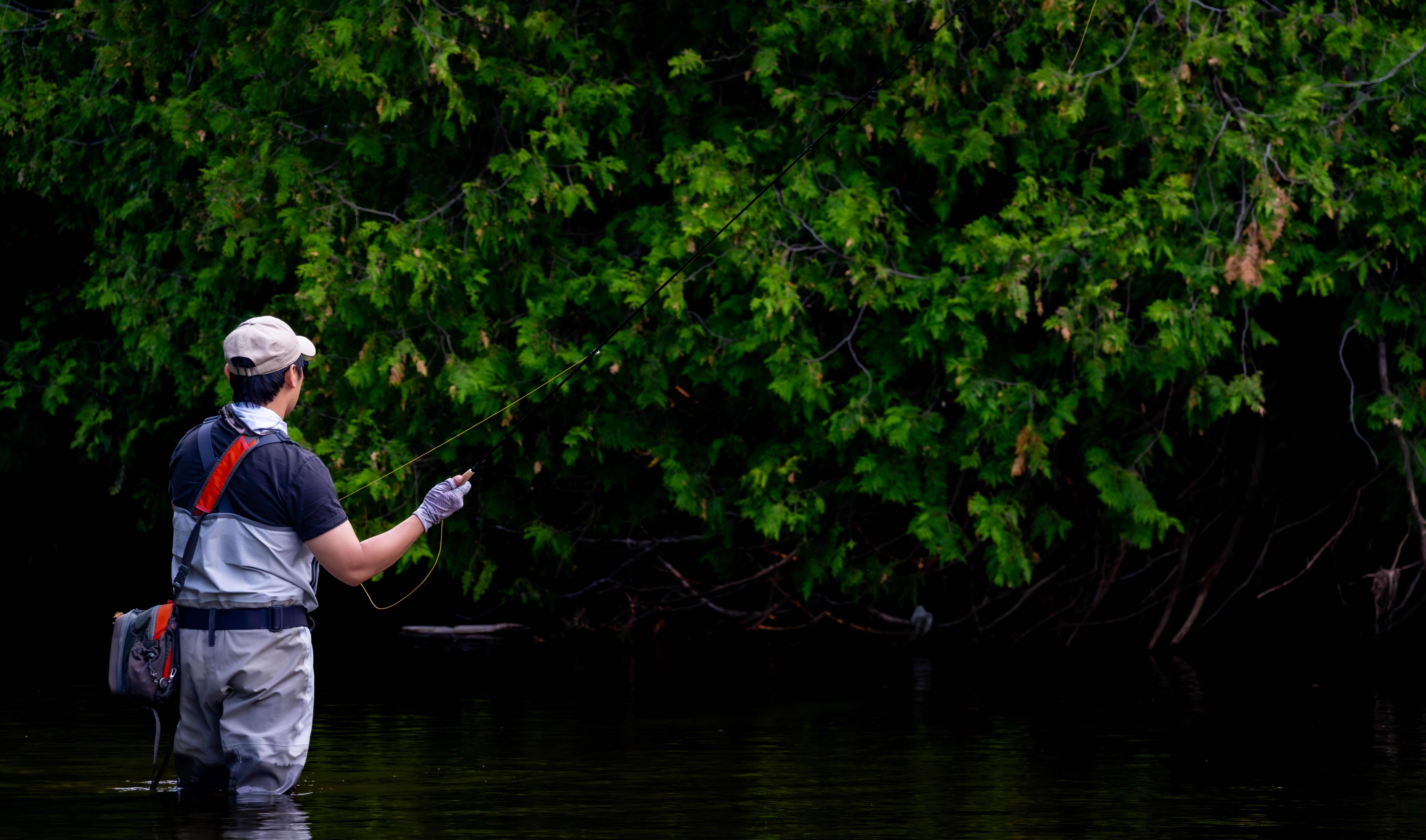 Man Fly Fishing in a River Surrounded by Lush Green Forest · Free Stock ...