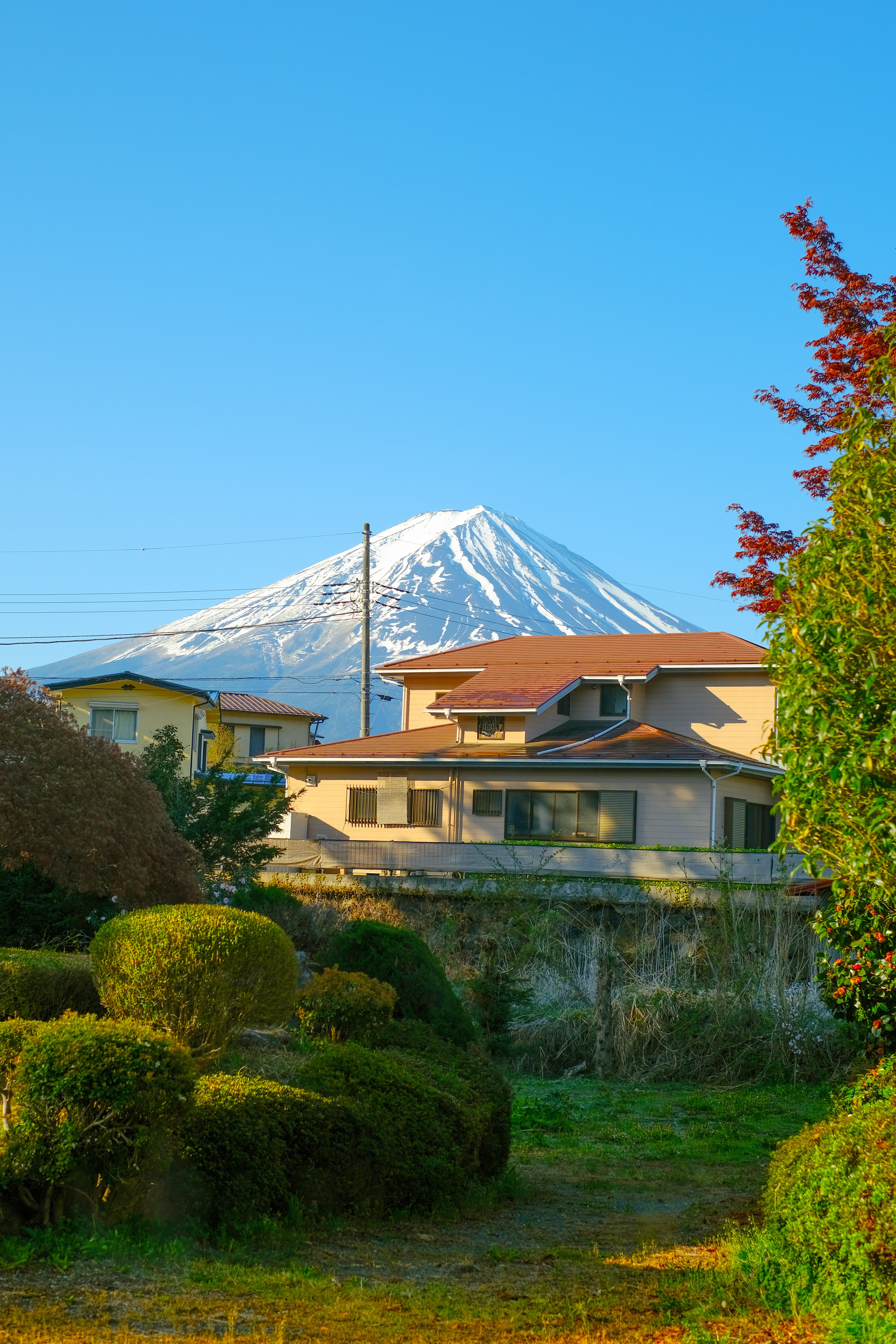 Iconic View of Starbucks with Mount Fuji · Free Stock Photo