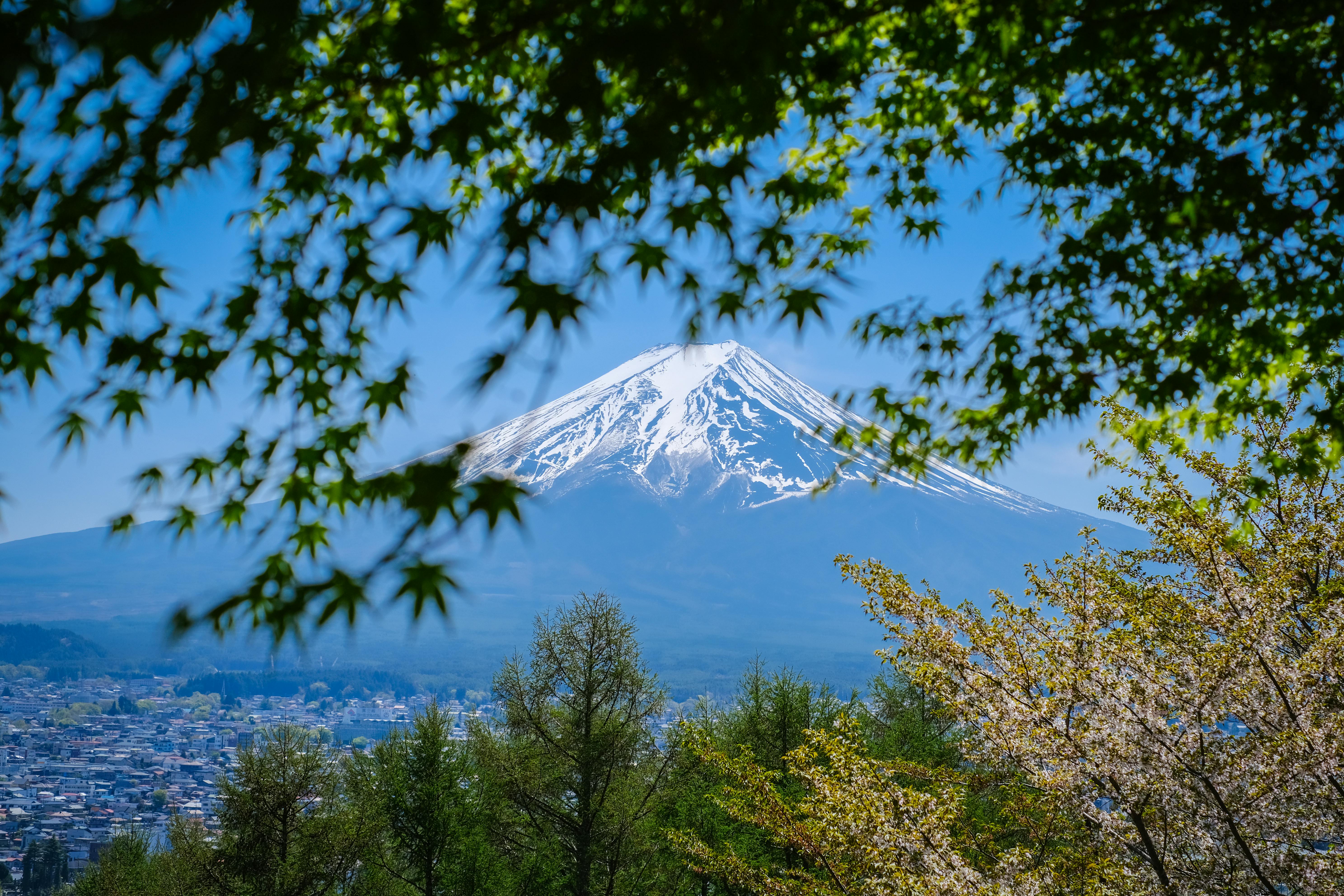 Scenic View of Mount Fuji in Spring · Free Stock Photo