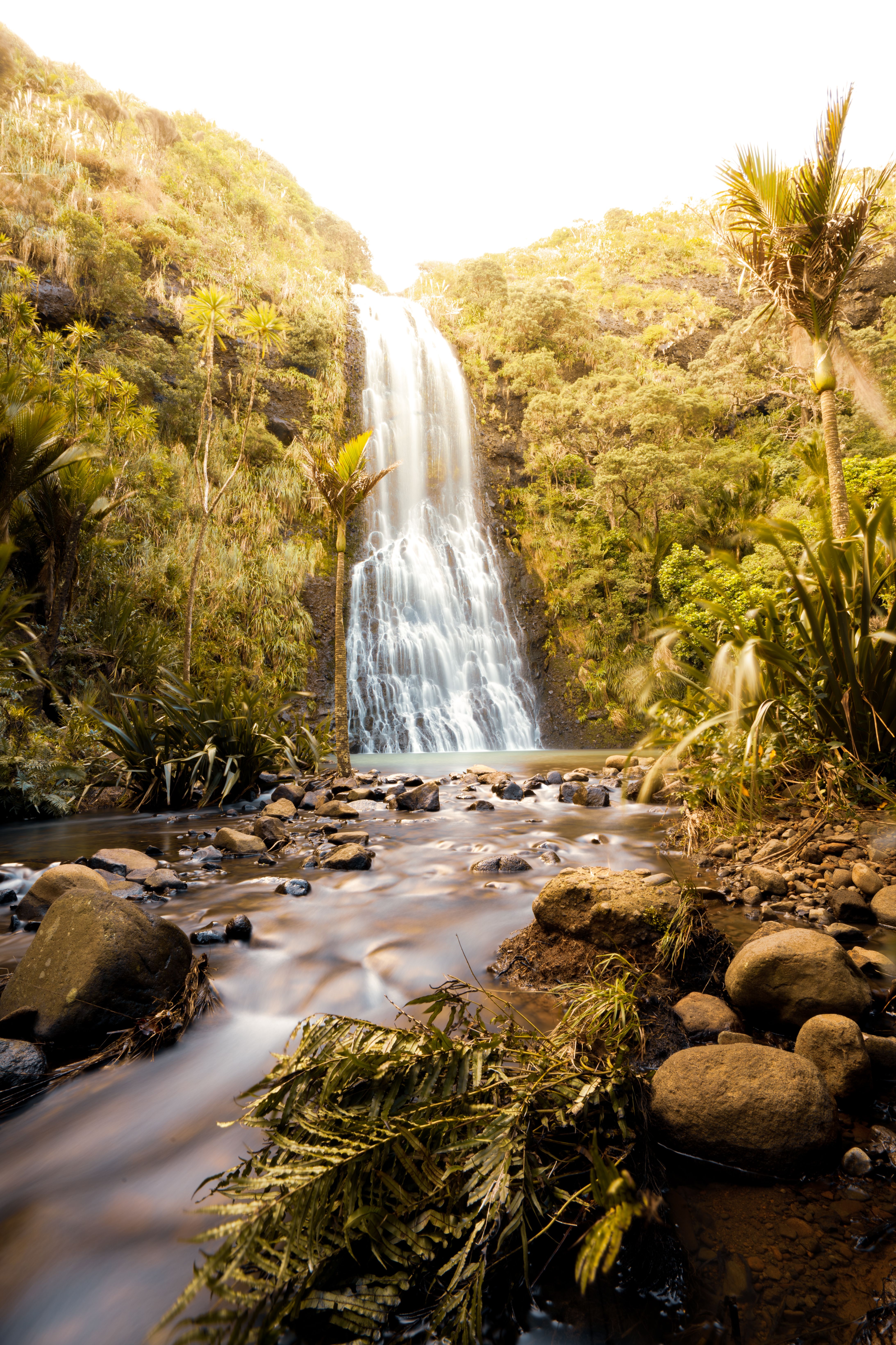 Majestic Karekare Waterfall in New Zealand · Free Stock Photo