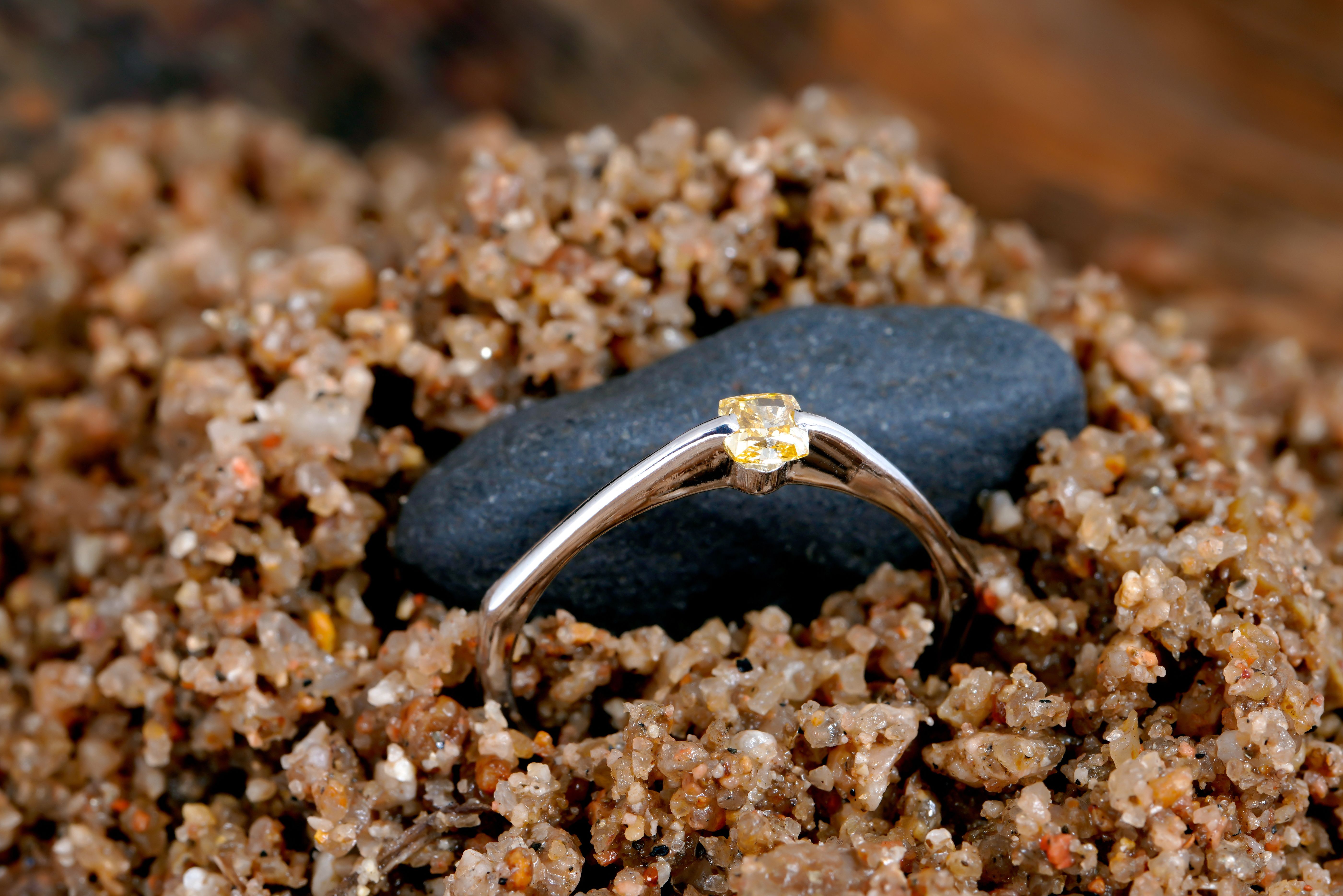 Beautiful Adornment Photos, Download The BEST Free Beautiful Adornment ...