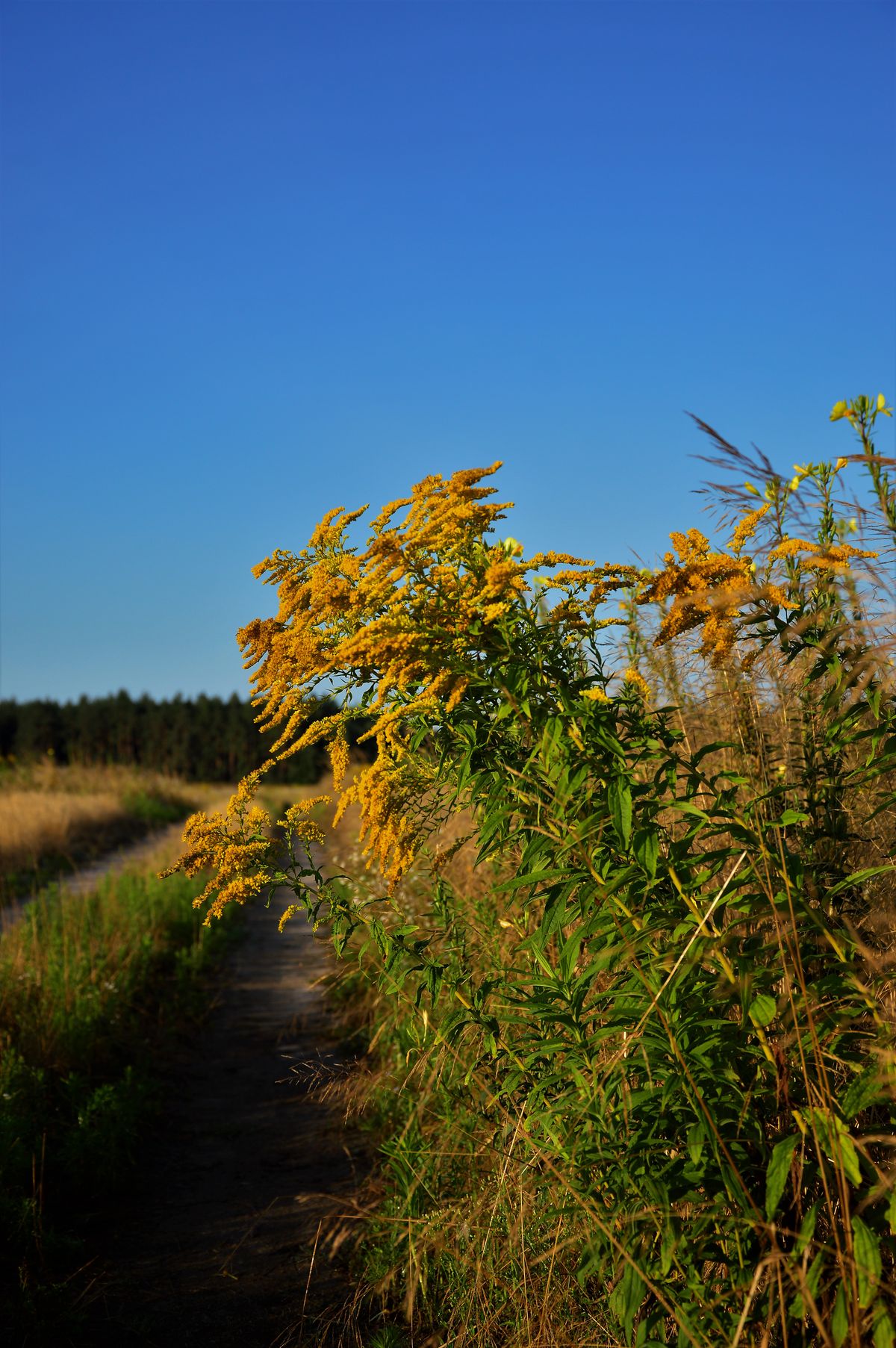 Summertime Photos, Download The BEST Free Summertime Stock Photos & HD ...