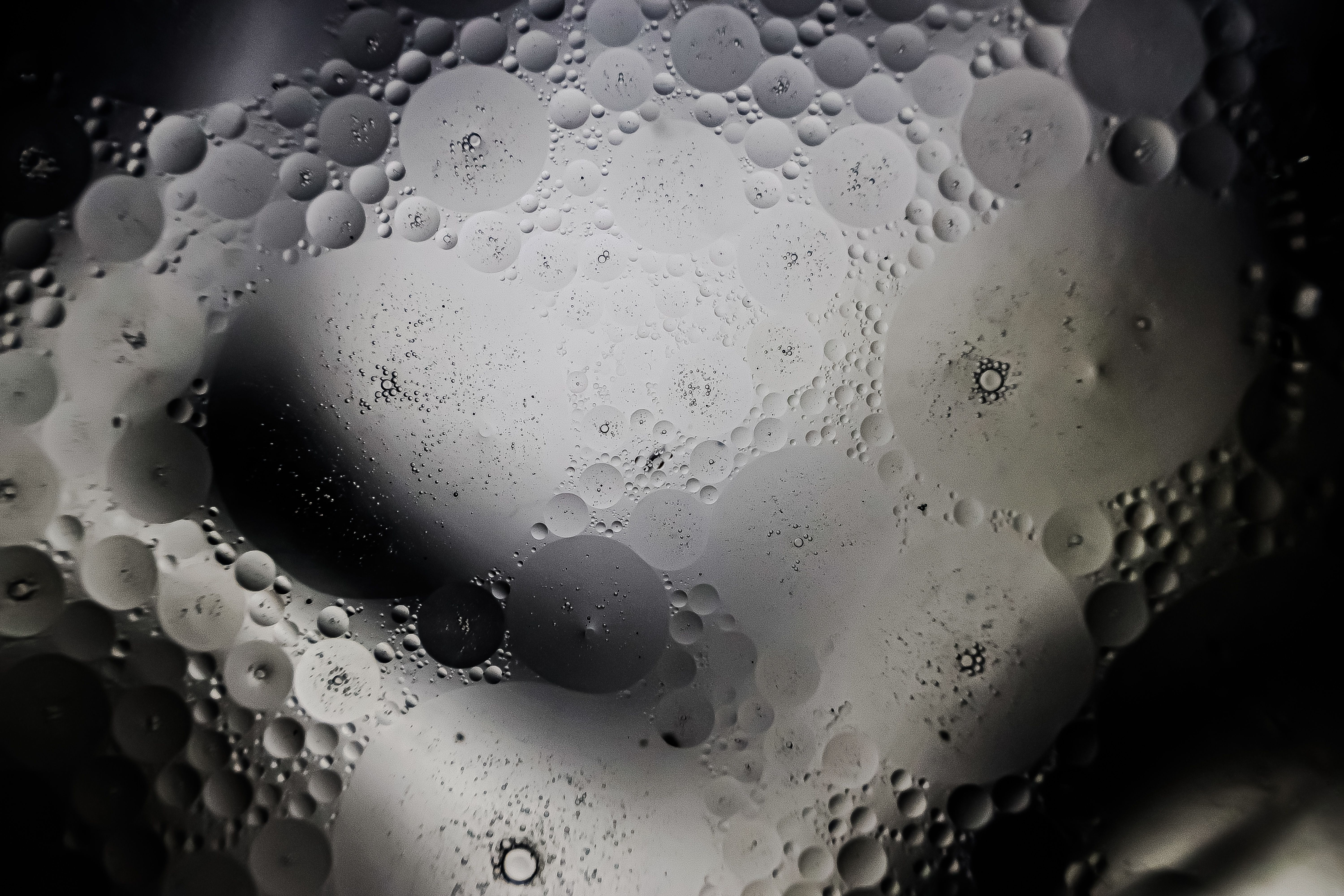 Abstract Monochrome Bubbles Oil Water Art · Free Stock Photo