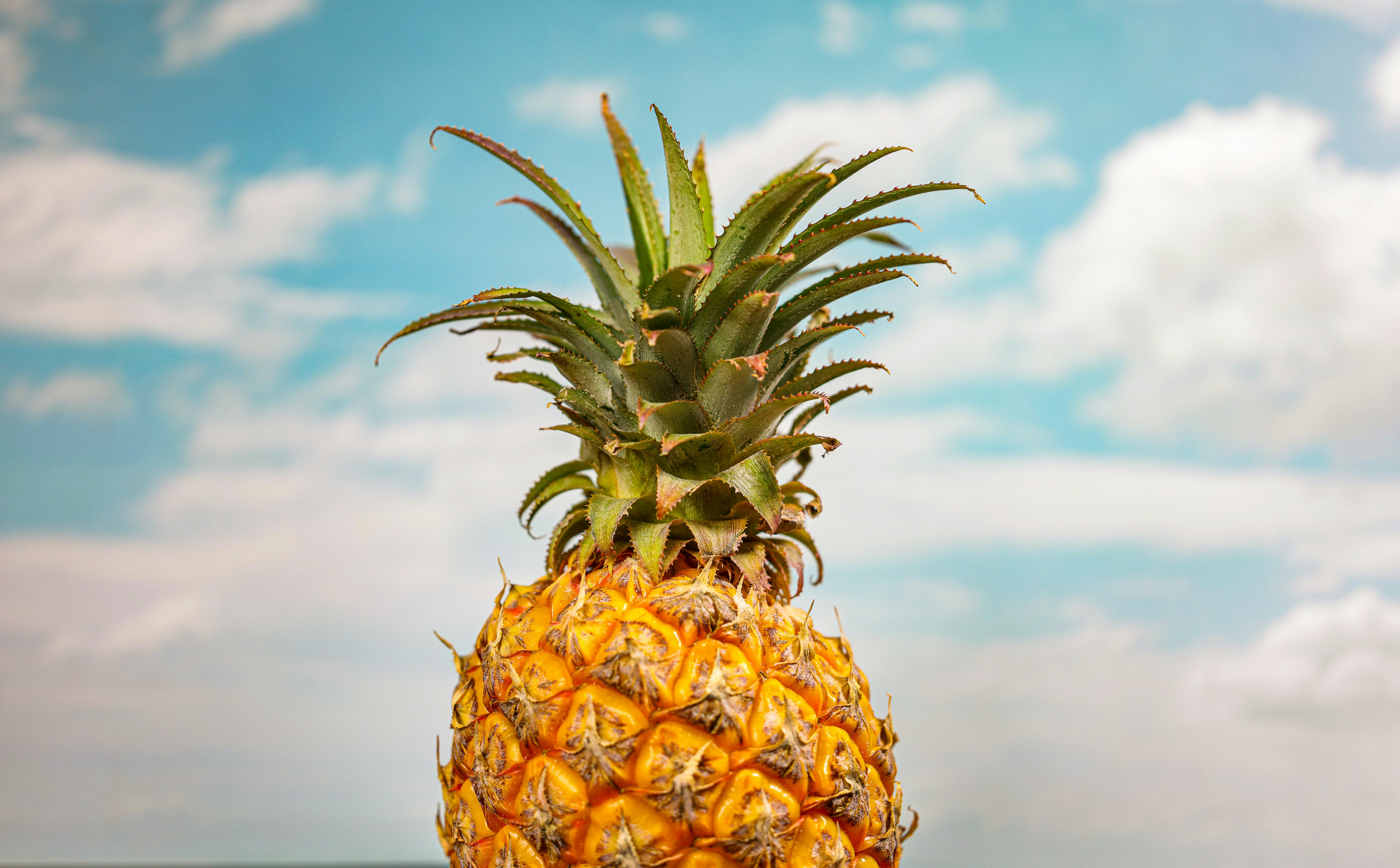 Fresh Blue Background Photos, Download The BEST Free Fresh Blue ...