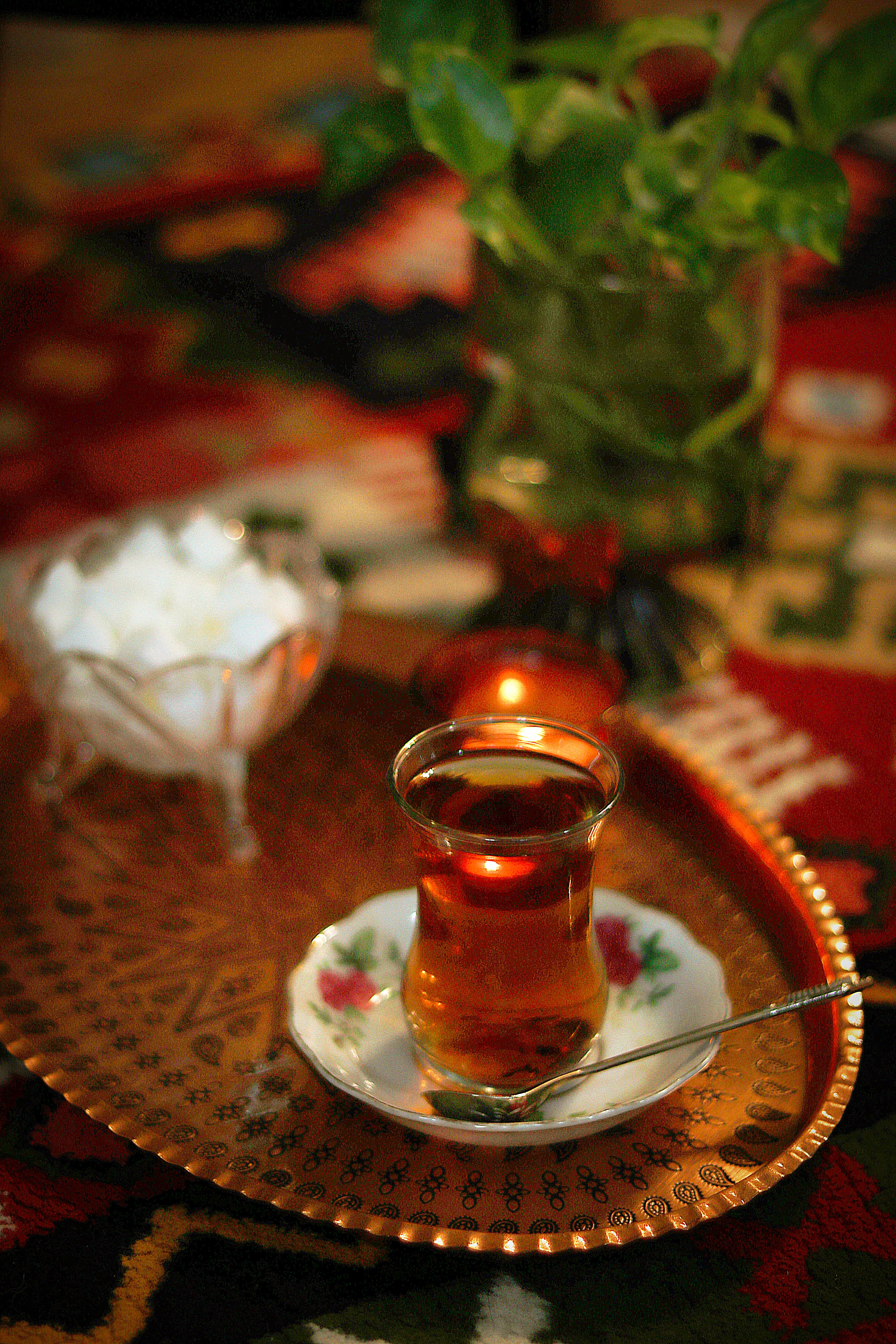Cozy Tea Setup on Copper Tray with Indoor Plant · Free Stock Photo