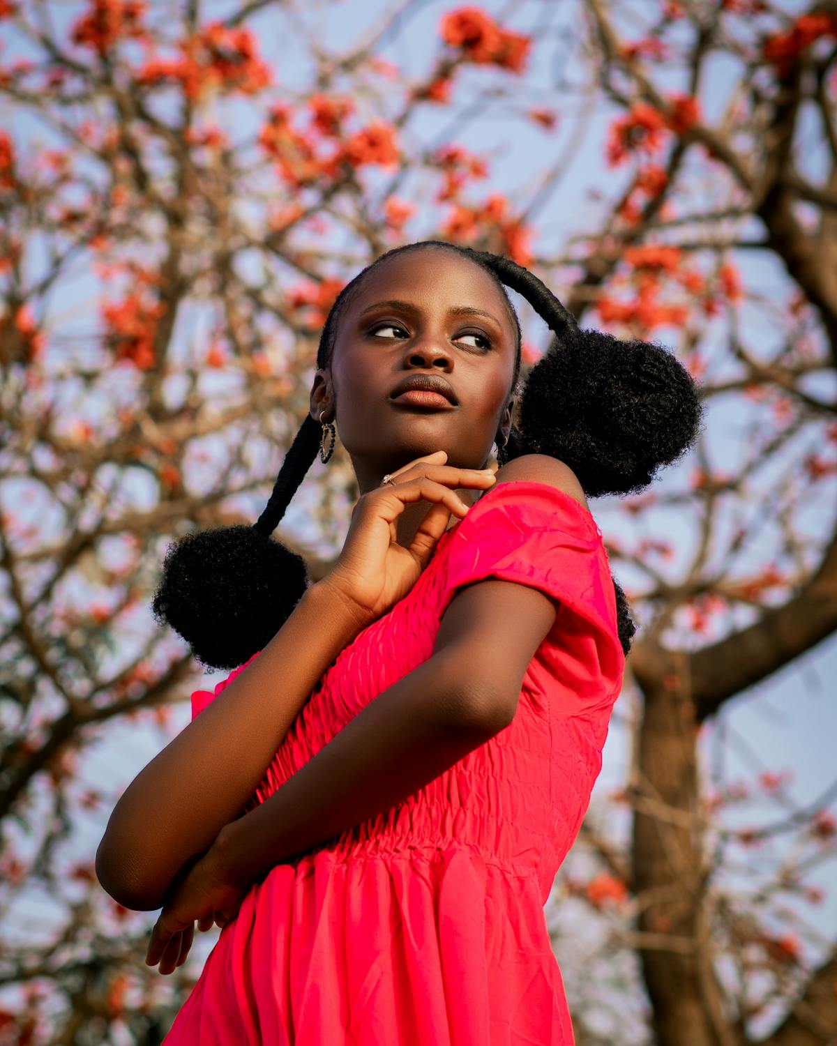 Girl+Pfps Photos, Download The BEST Free Girl+Pfps Stock Photos & HD Images