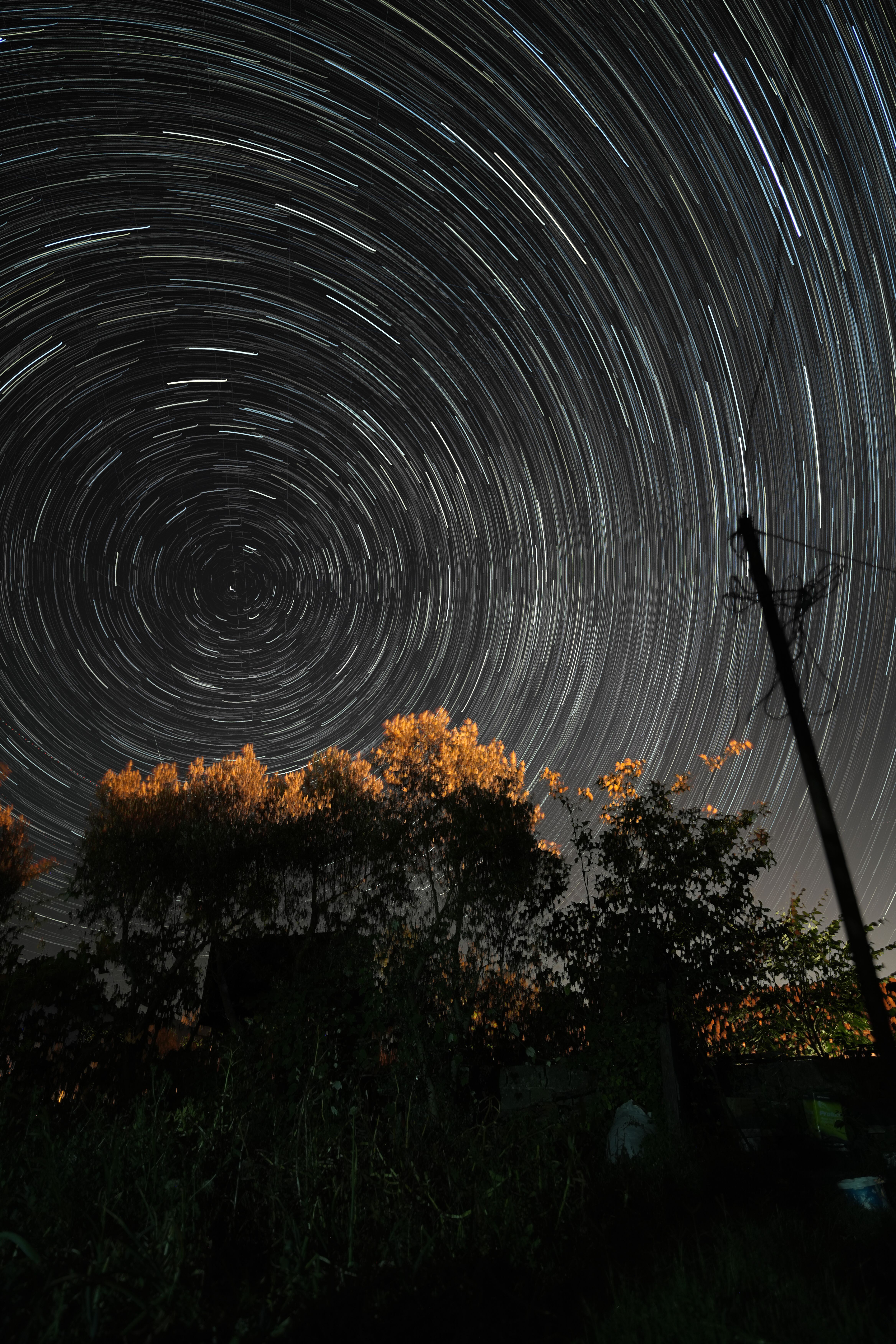 Mesmerizing Star Trails over Silhouetted Trees · Free Stock Photo