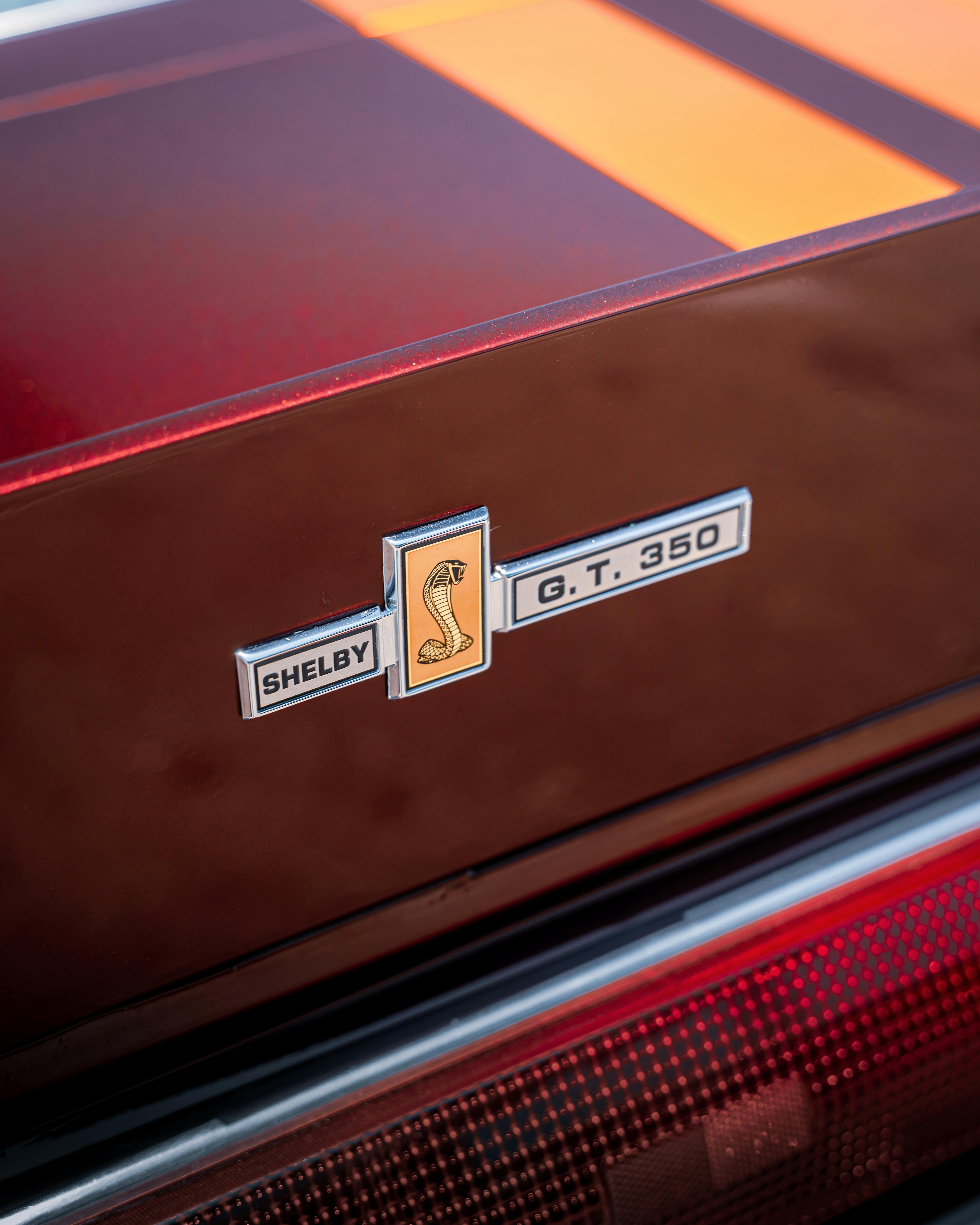 Close-up of Shelby GT350 Emblem on Vintage Car · Free Stock Photo