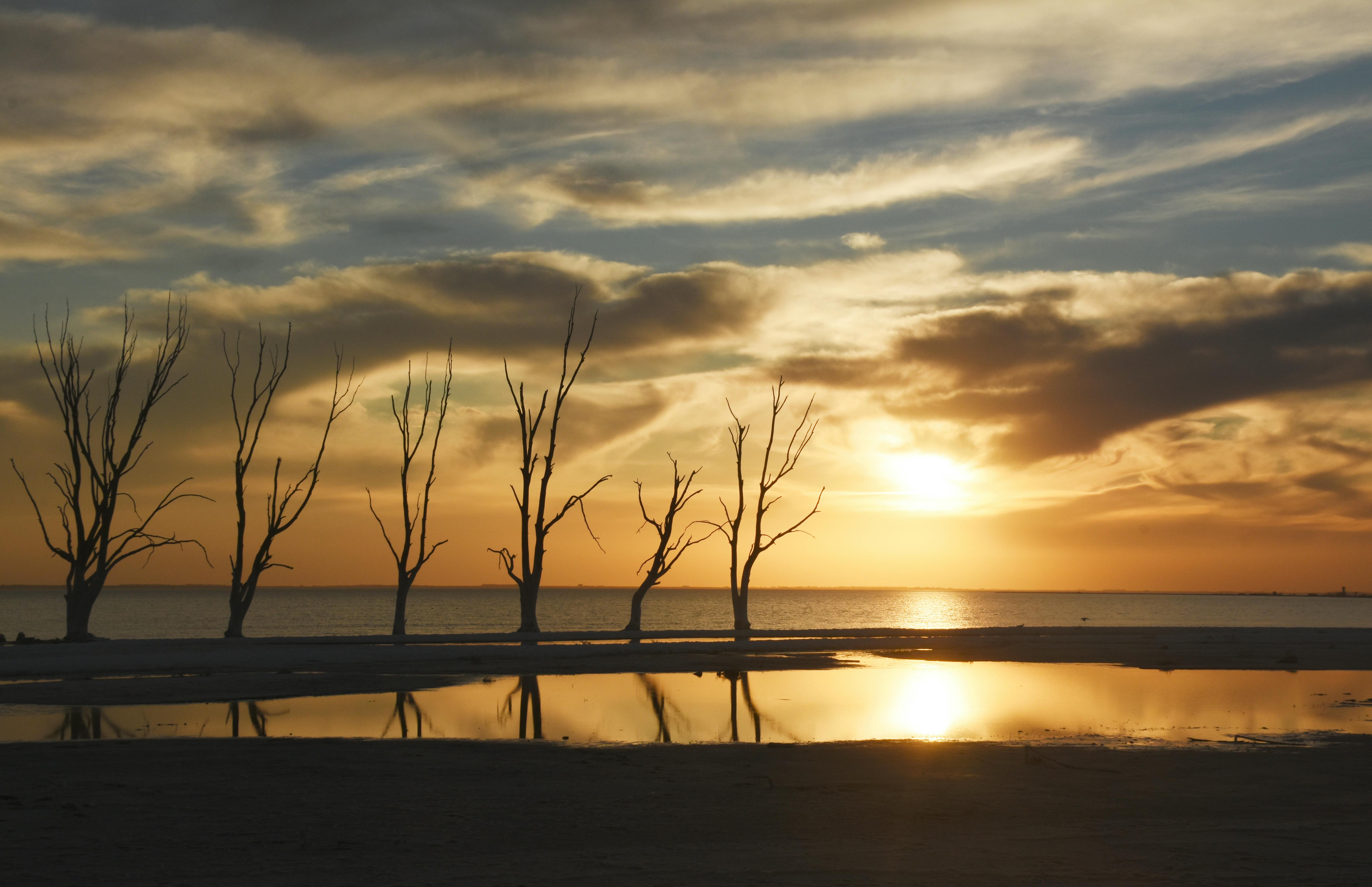 104+ Fotos y Imágenes de Atardeceres Gratis · Banco de Fotos Gratis