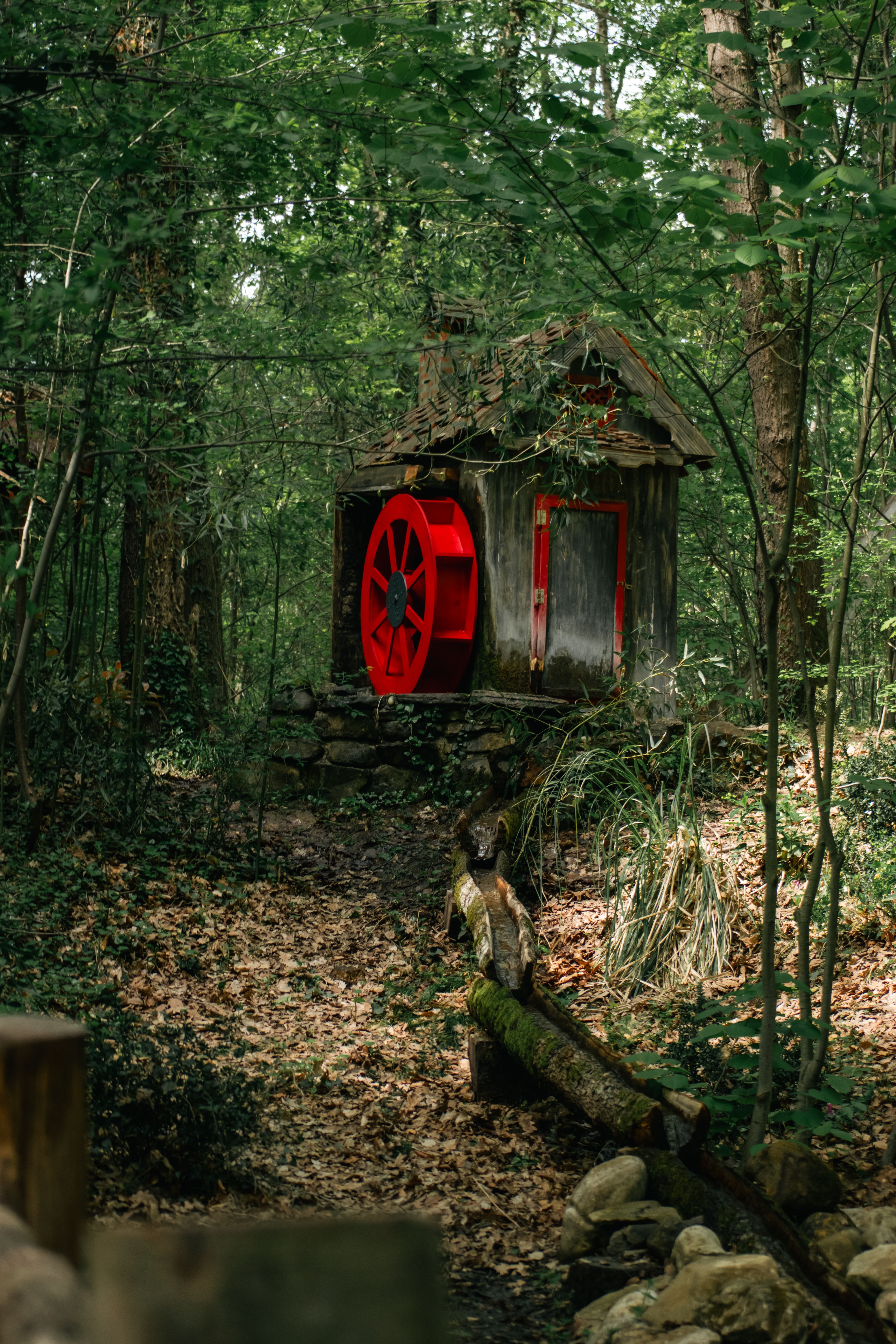 Rustic Woodland Watermill with Red Wheel · Free Stock Photo