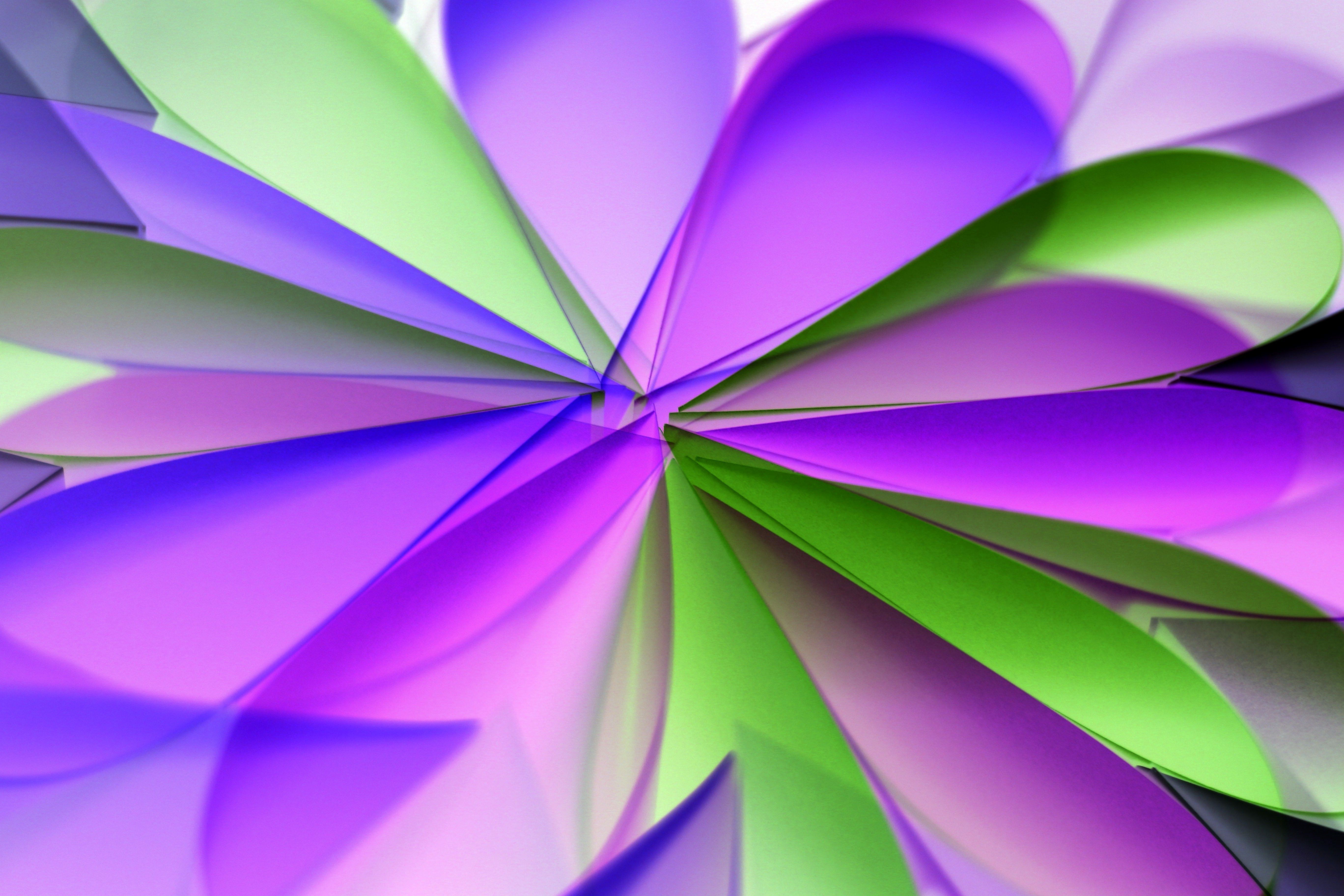 Vibrant Abstract Paper Petals Layout · Free Stock Photo