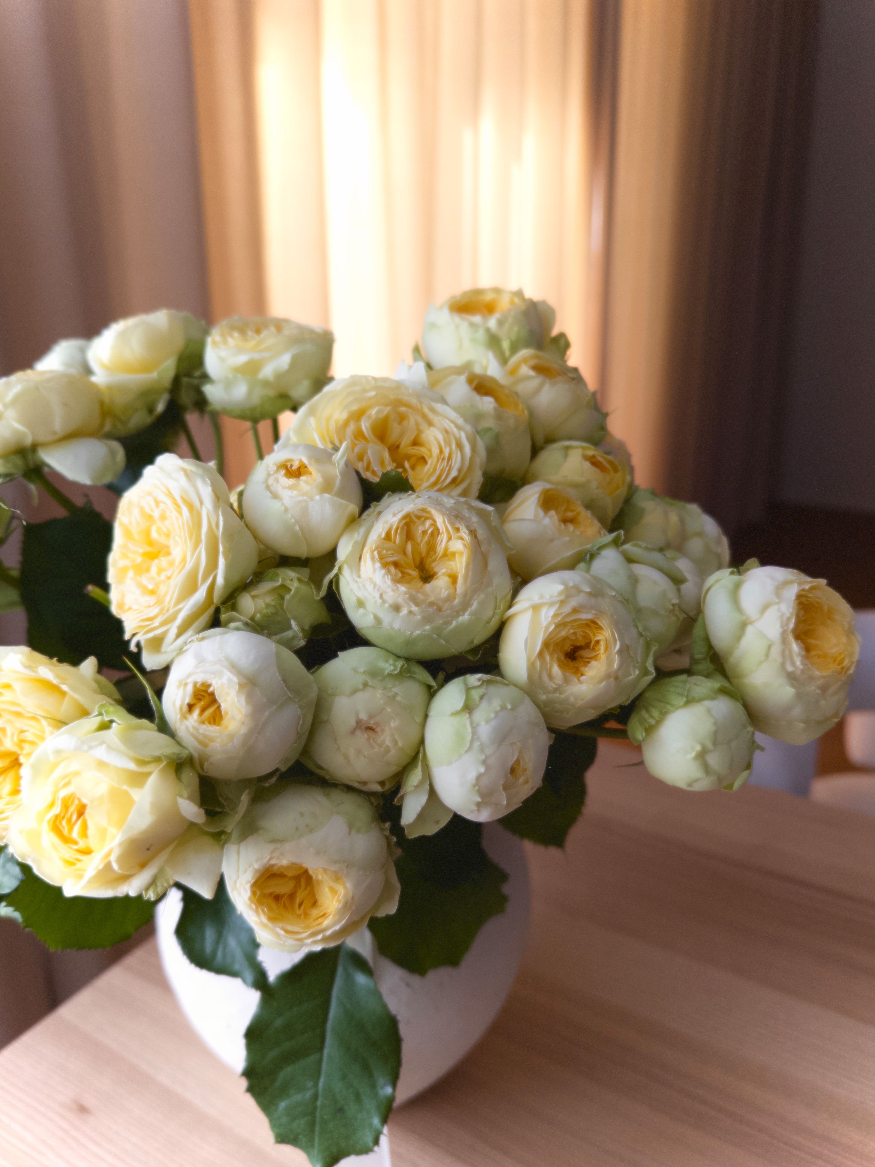 Yellow Roses Bouquet Photos, Download The BEST Free Yellow Roses ...