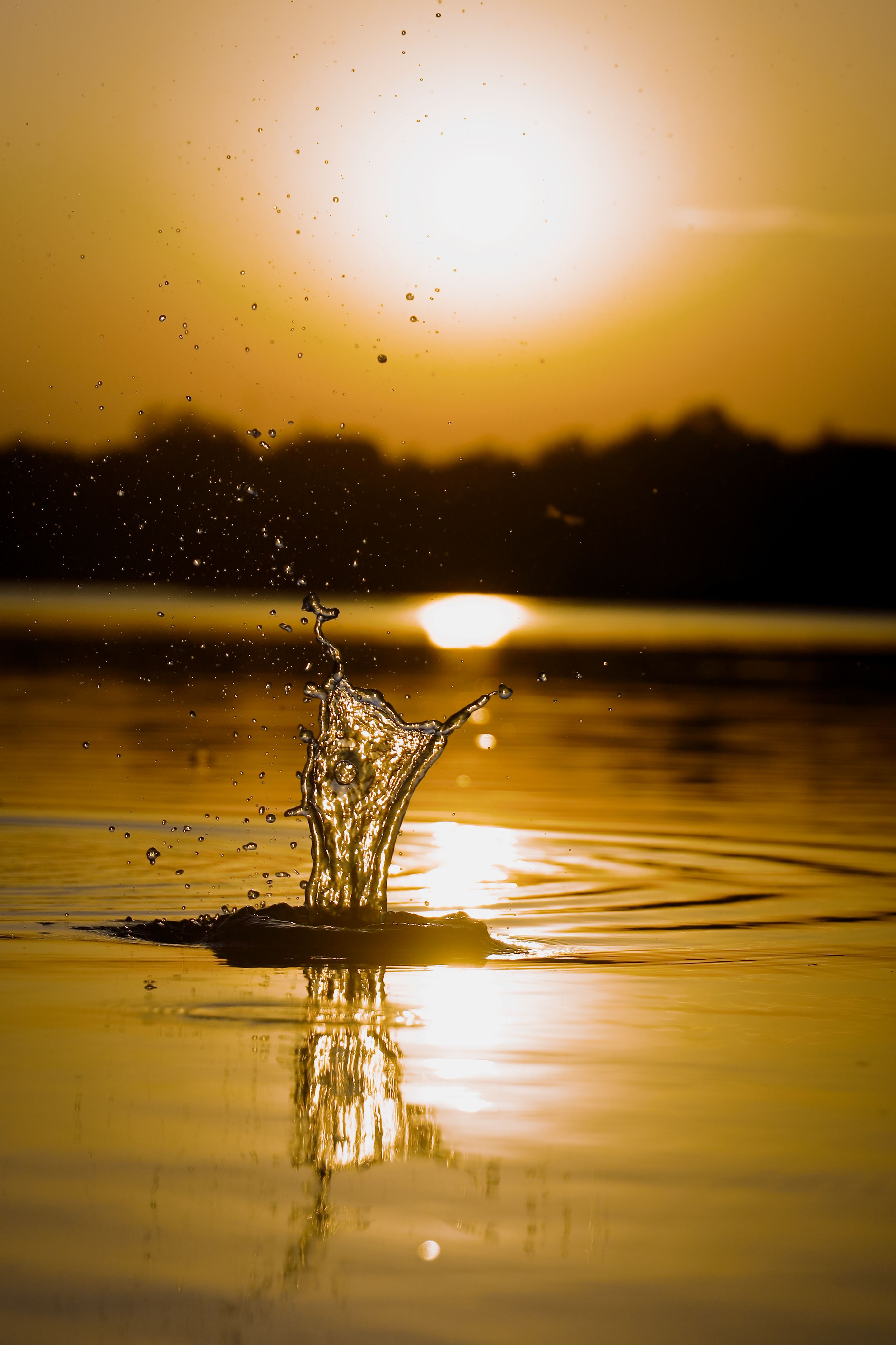 Water Splash · Free Stock Photo