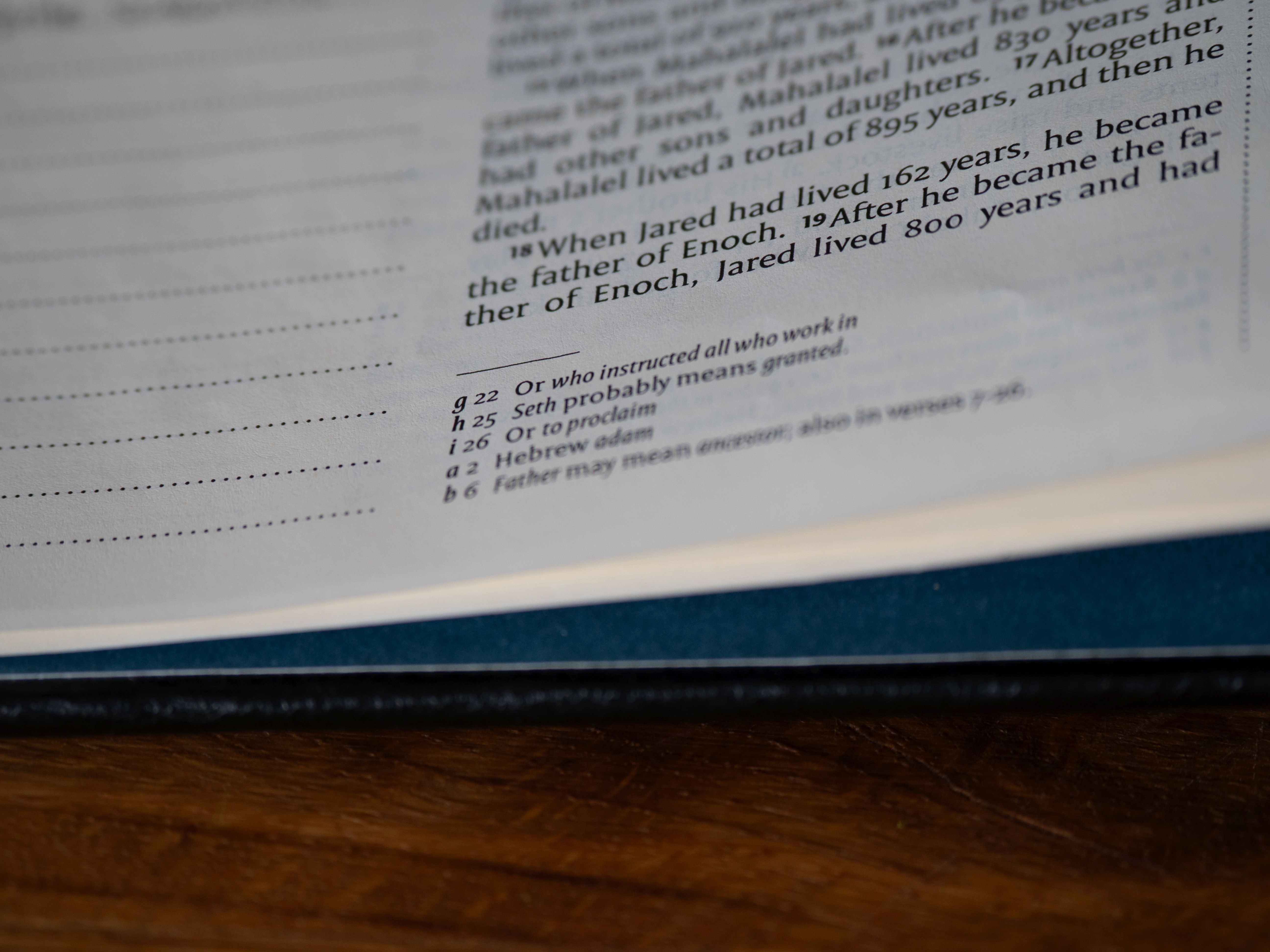 Genesis Bible Photos, Download The BEST Free Genesis Bible Stock Photos ...