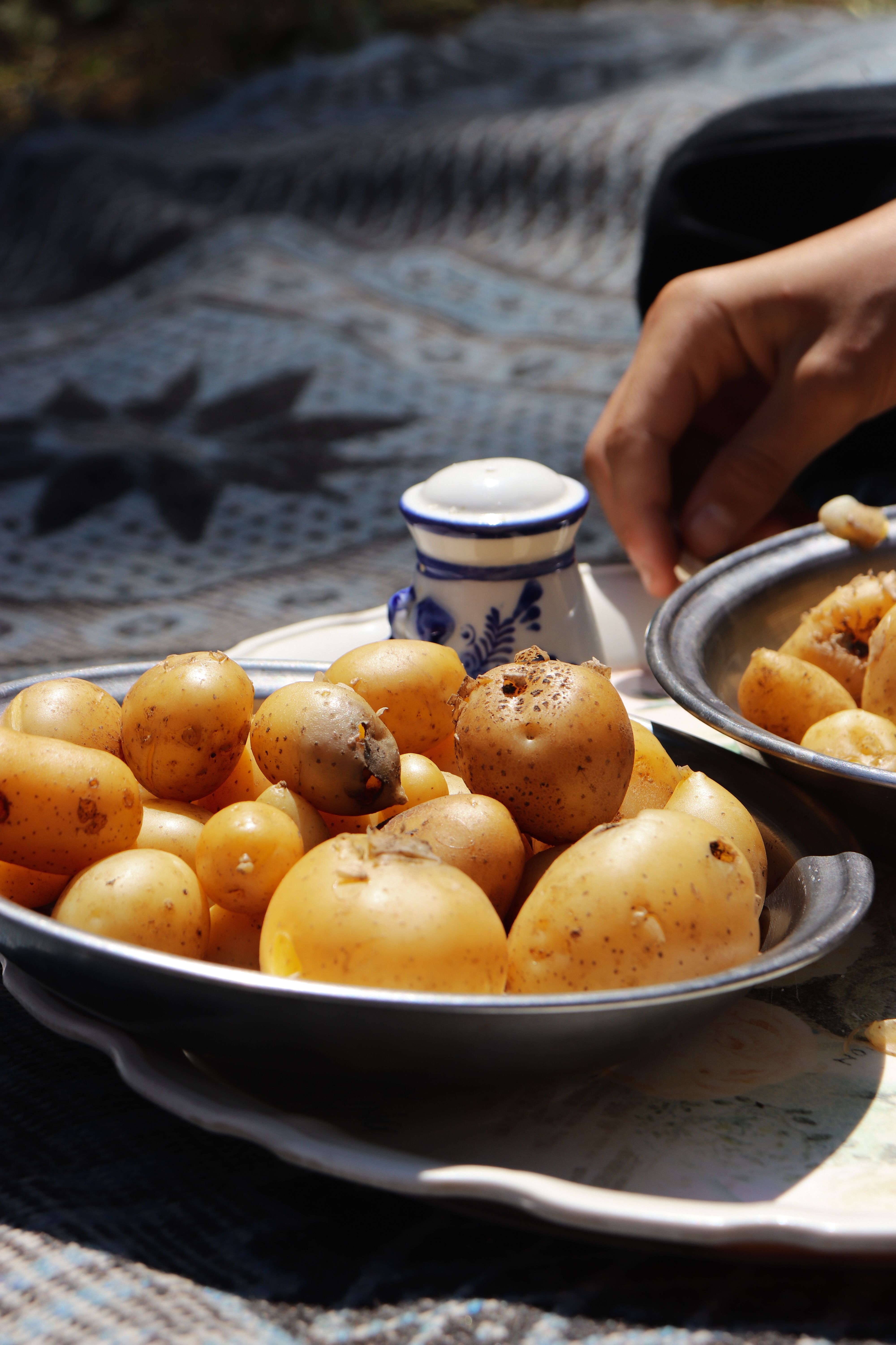 Potato Slinky Photos, Download The BEST Free Potato Slinky Stock Photos ...