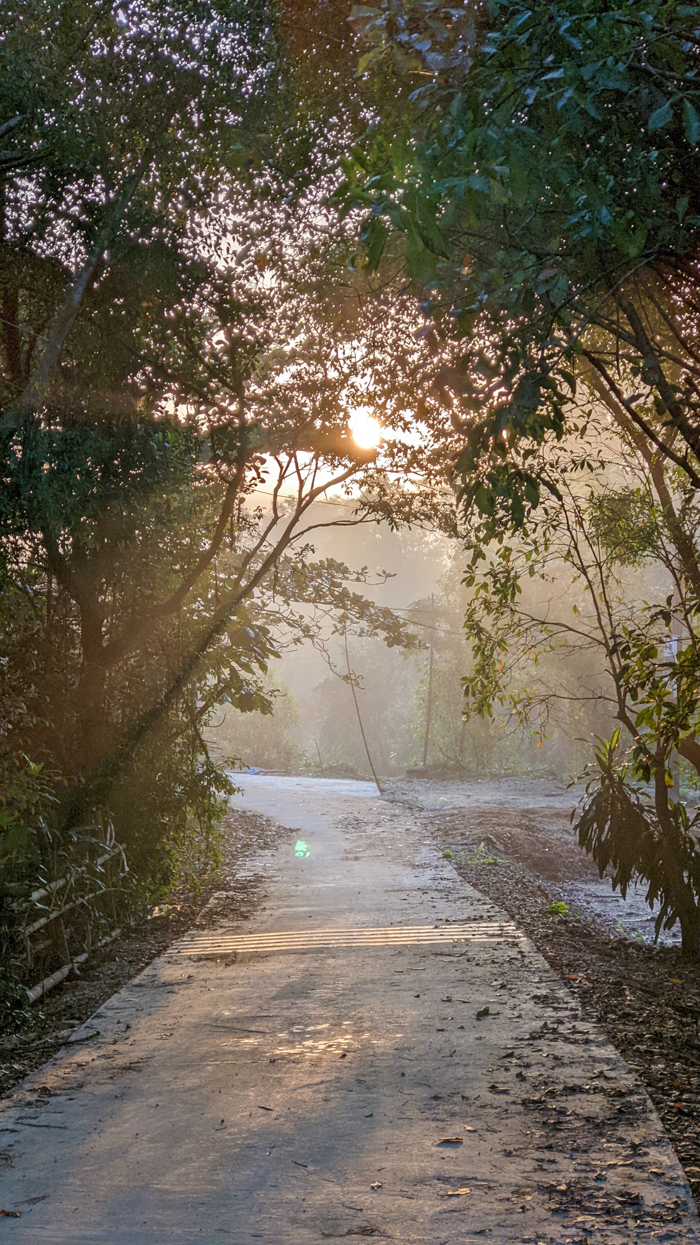 Serene Pathway in the Morning Sunlight, Hue, Vietnam · Free Stock Photo