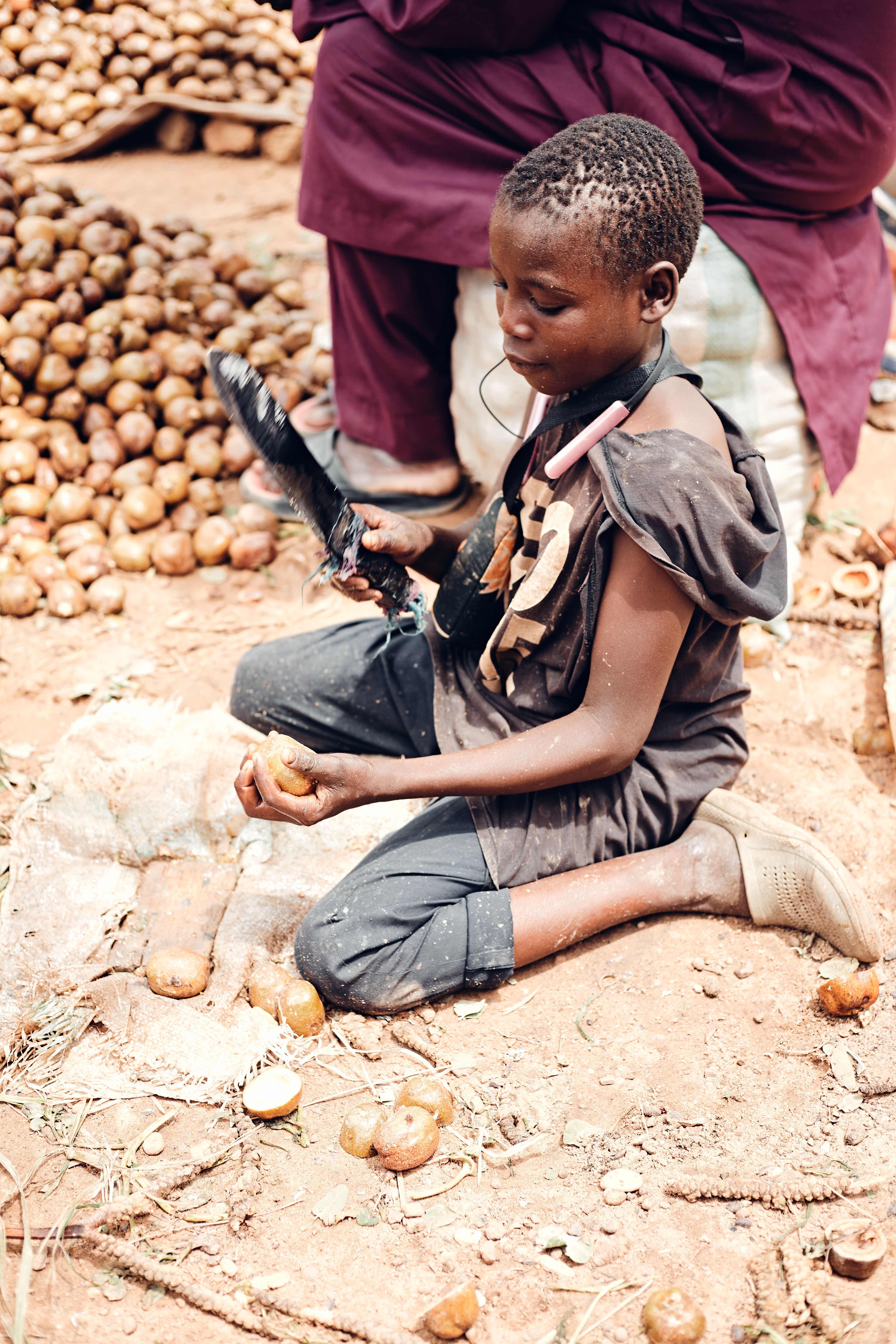 Young Child Preparing Nuts Outdoors in Village · Free Stock Photo