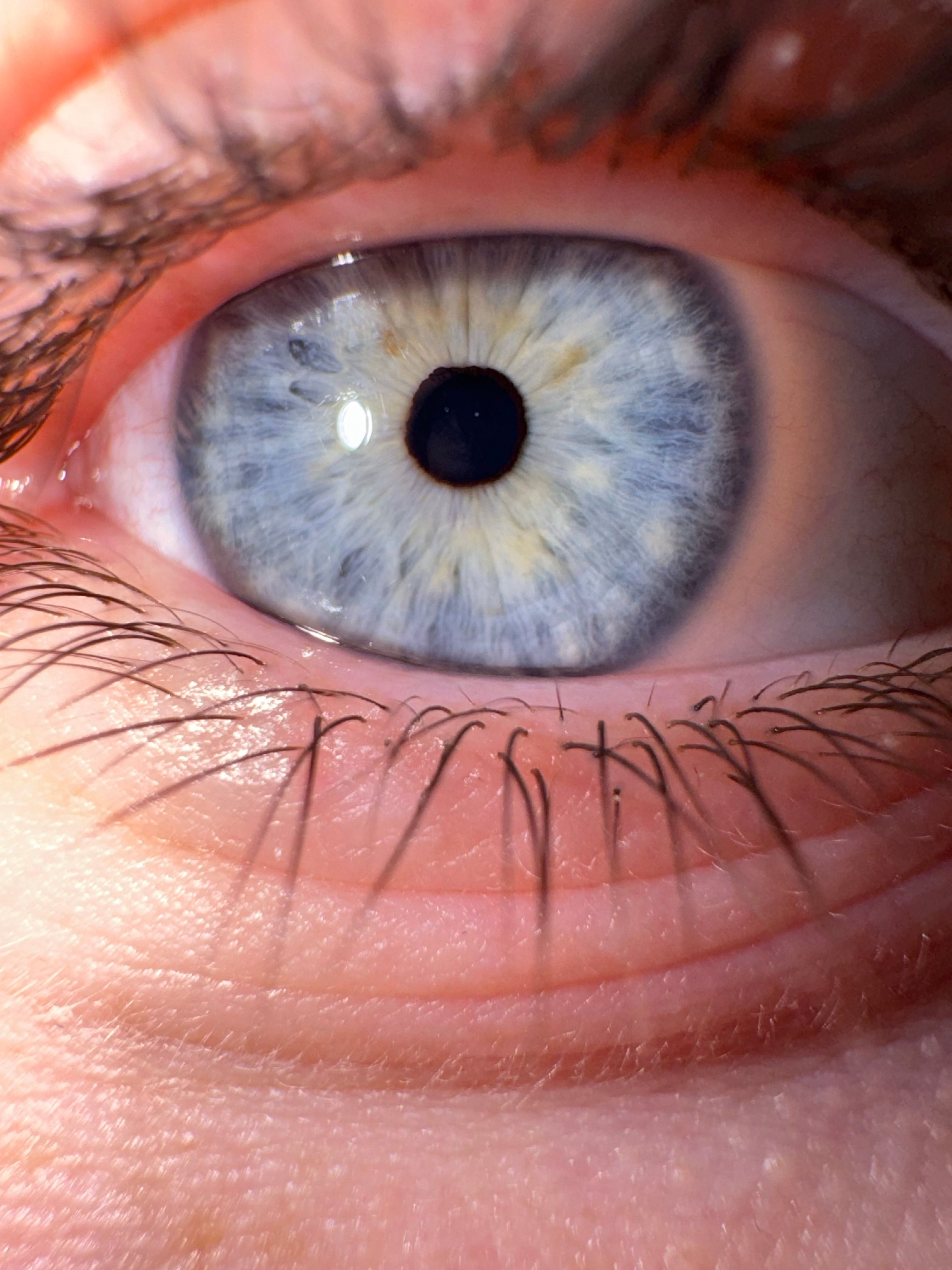 4k Eye Closeup Human Photos, Download The BEST Free 4k Eye Closeup ...