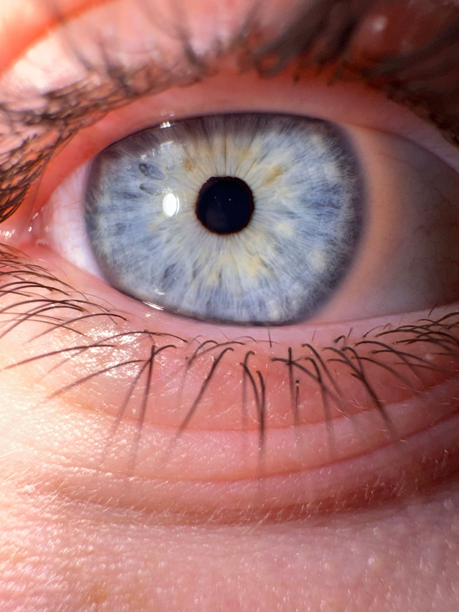 Human Closeup Eye Side View Photos, Download The BEST Free Human ...
