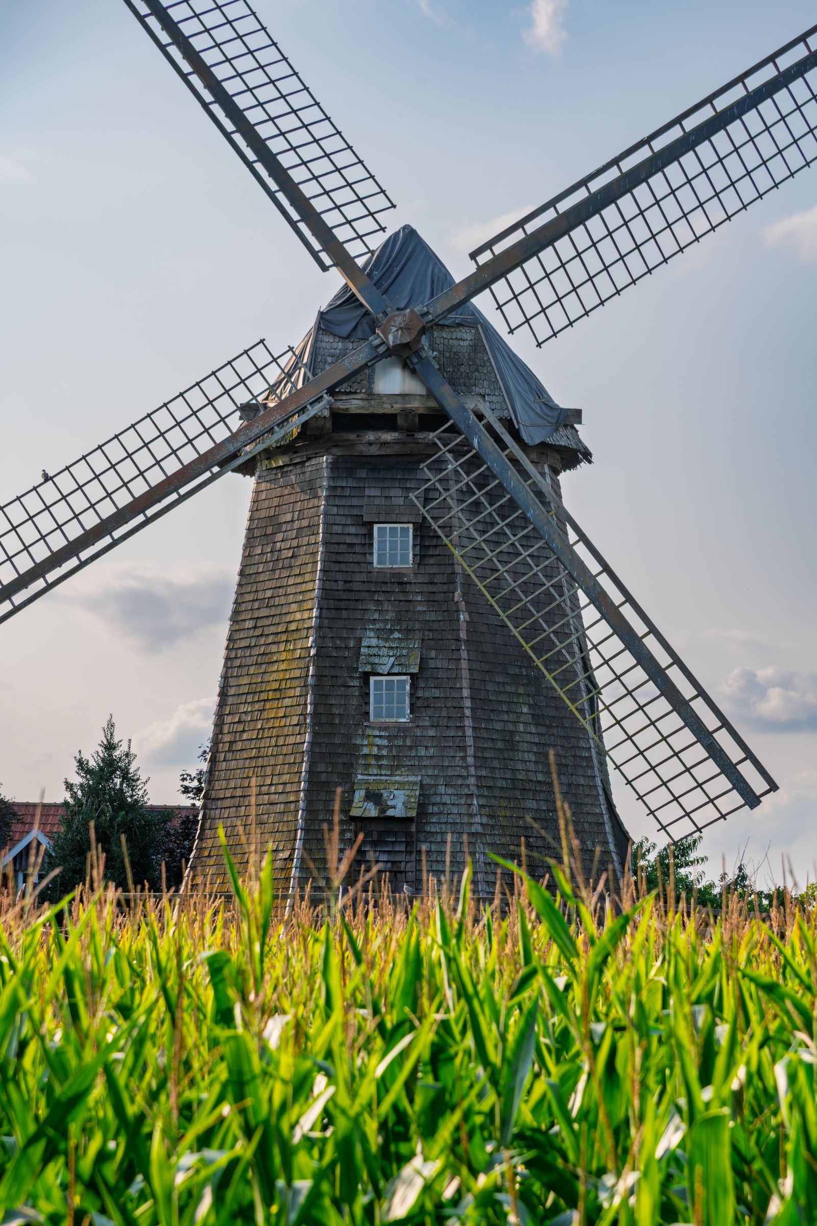 Farm Windmill Photos, Download The BEST Free Farm Windmill Stock Photos ...