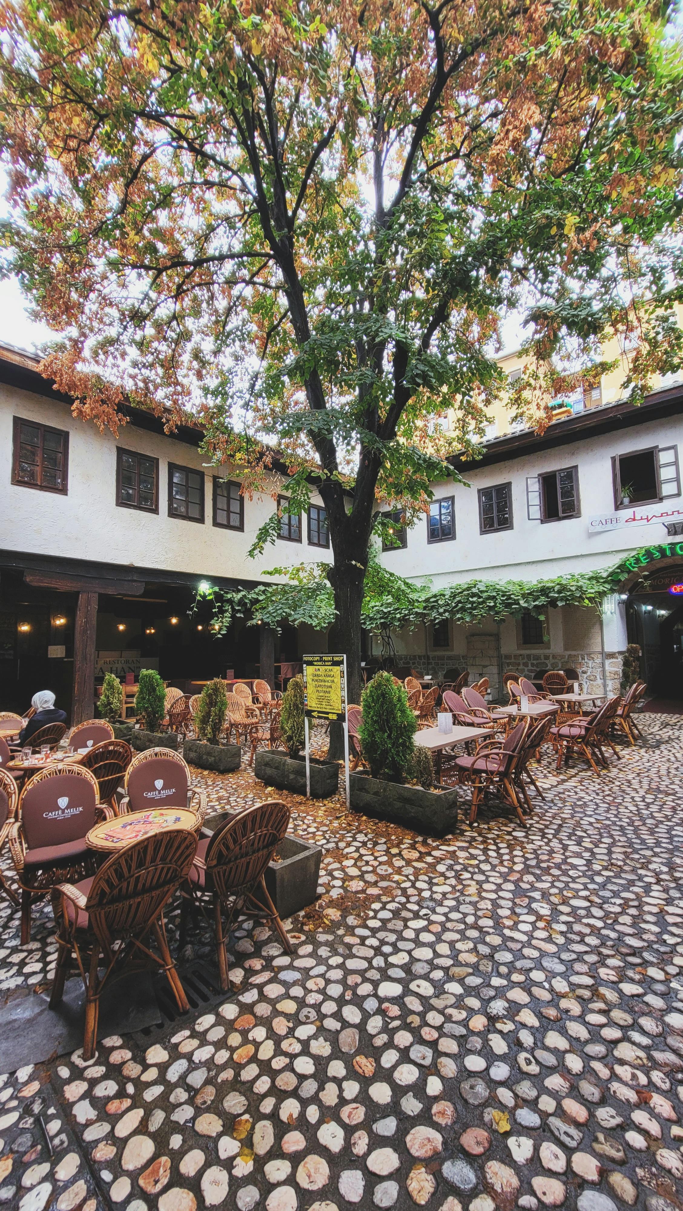 Landscape Cafe Photos, Download The BEST Free Landscape Cafe Stock ...