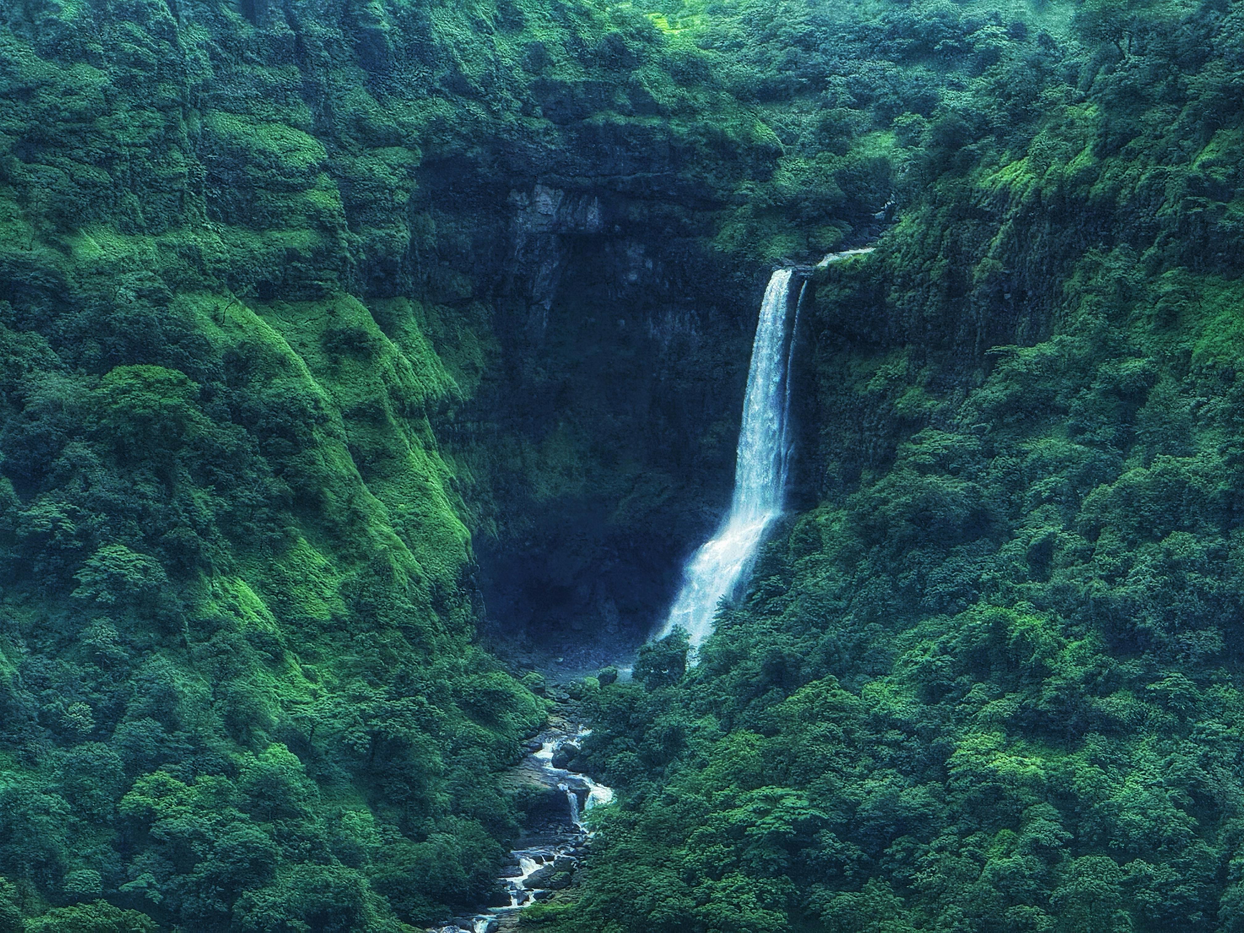 Tropical Rainforest Photos, Download The BEST Free Tropical Rainforest ...