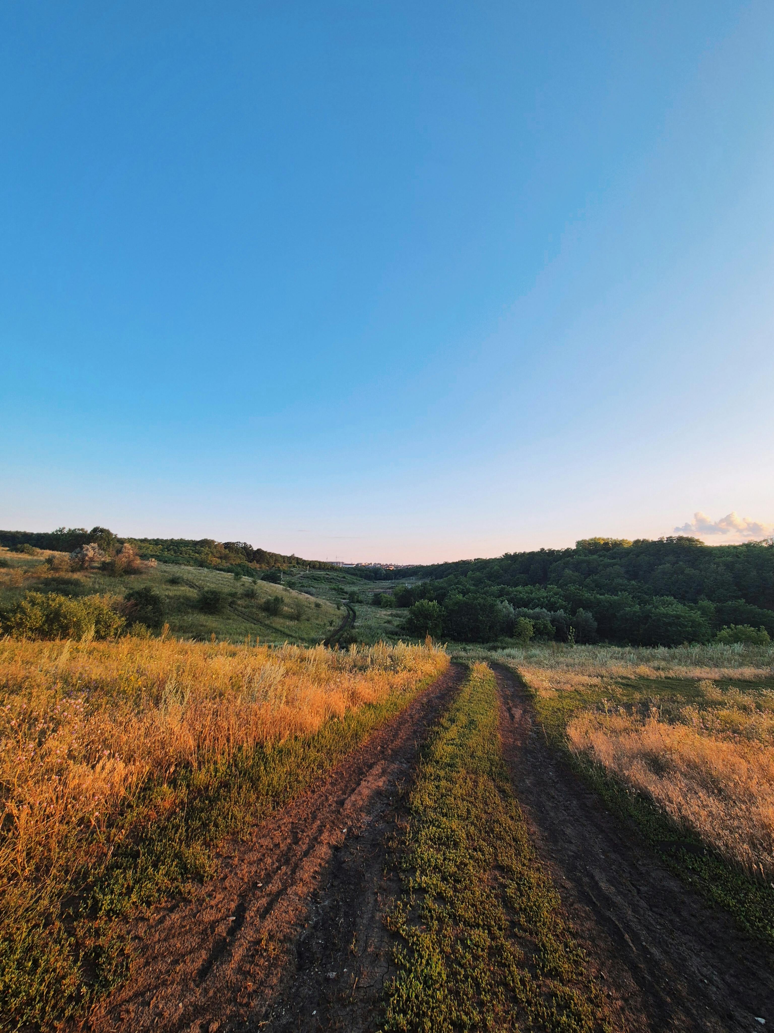 Juaar Fields Photos, Download The BEST Free Juaar Fields Stock Photos ...