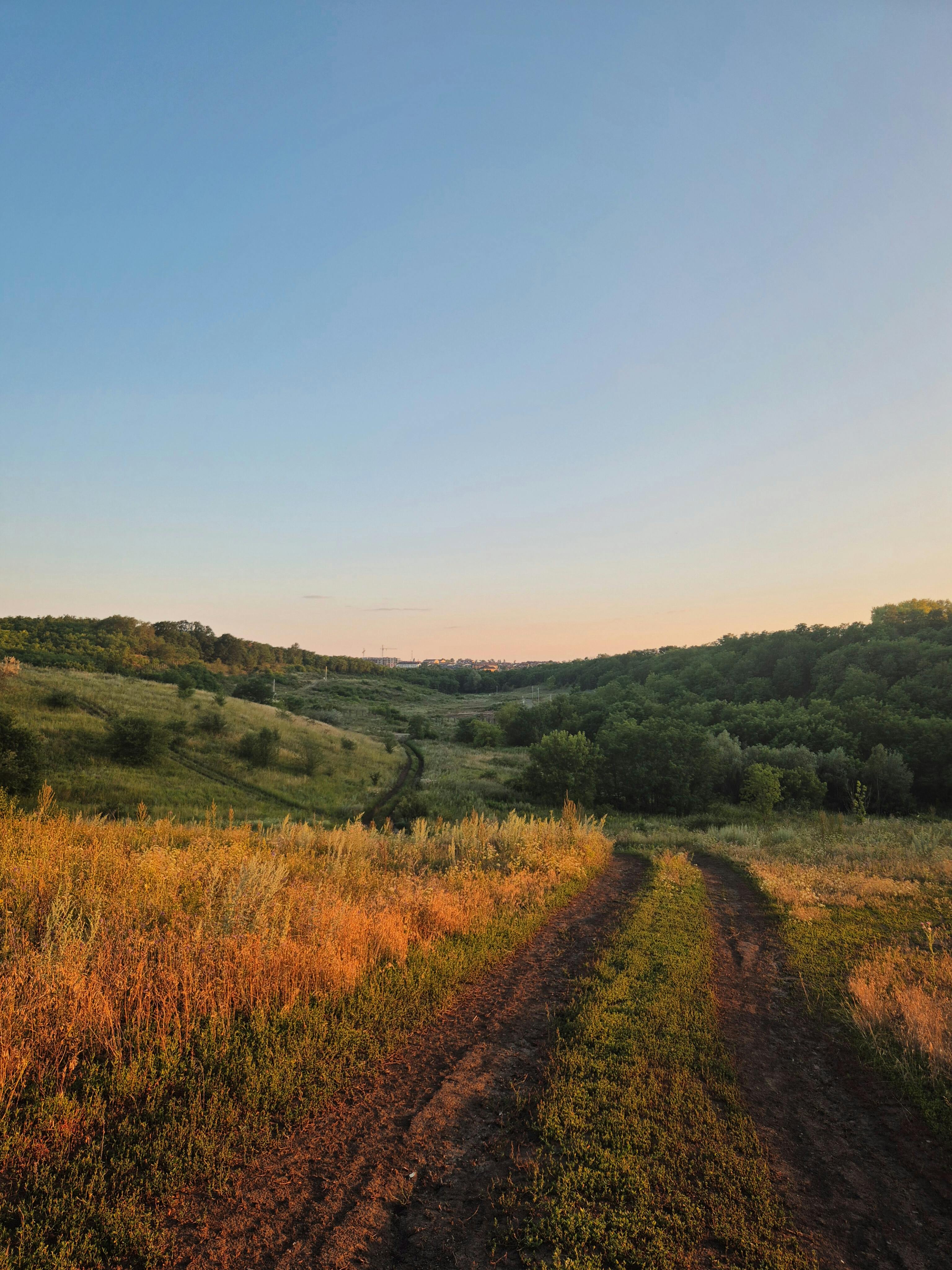 Non Pollution Photos, Download The BEST Free Non Pollution Stock Photos ...