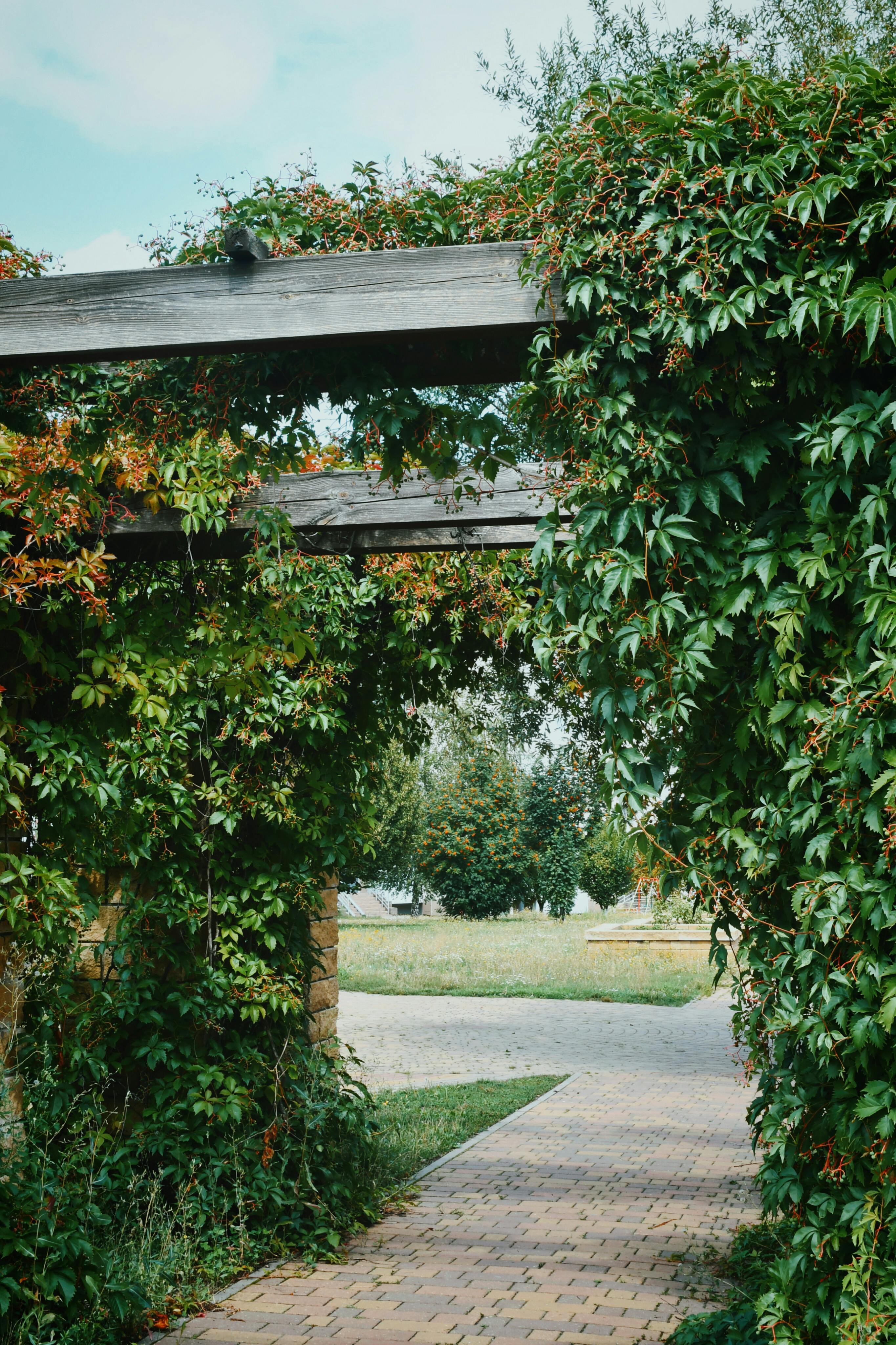 Gateway Photos, Download The BEST Free Gateway Stock Photos & HD Images