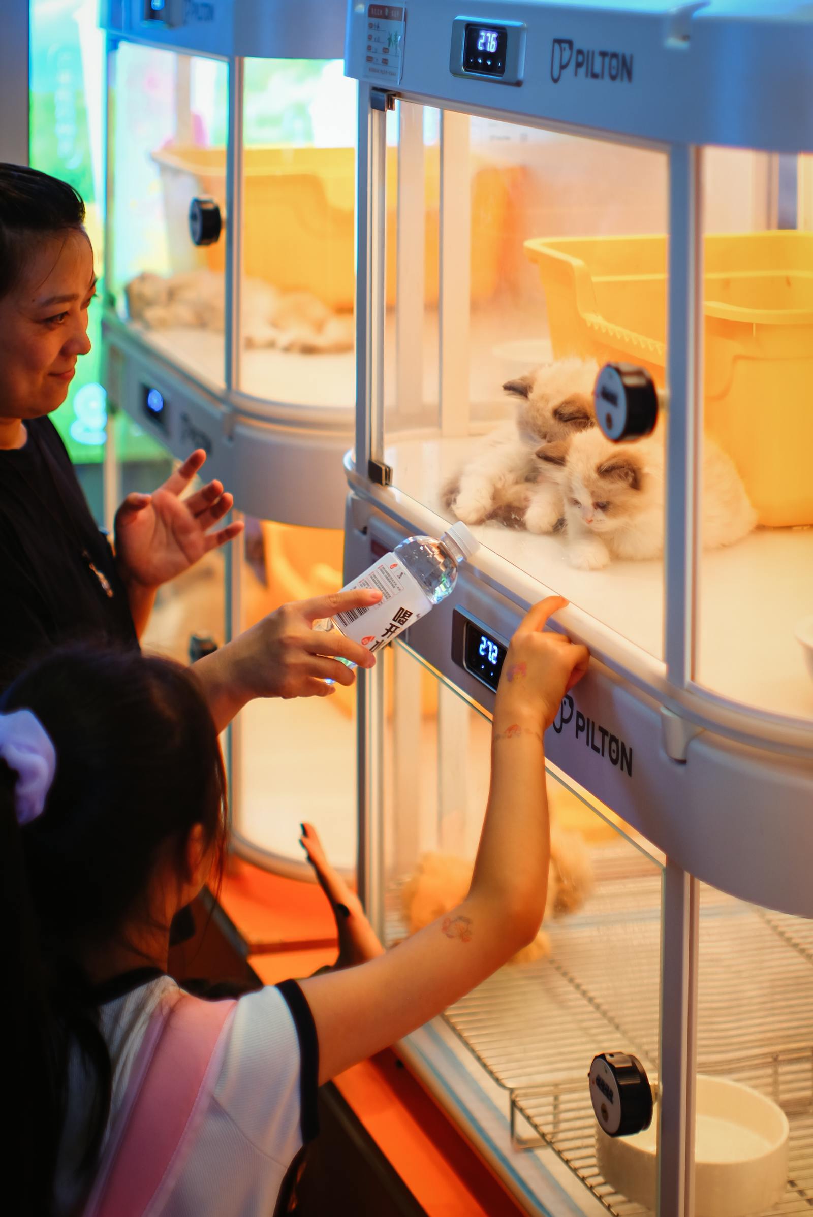 Pet Shop Photos, Download The BEST Free Pet Shop Stock Photos & HD Images