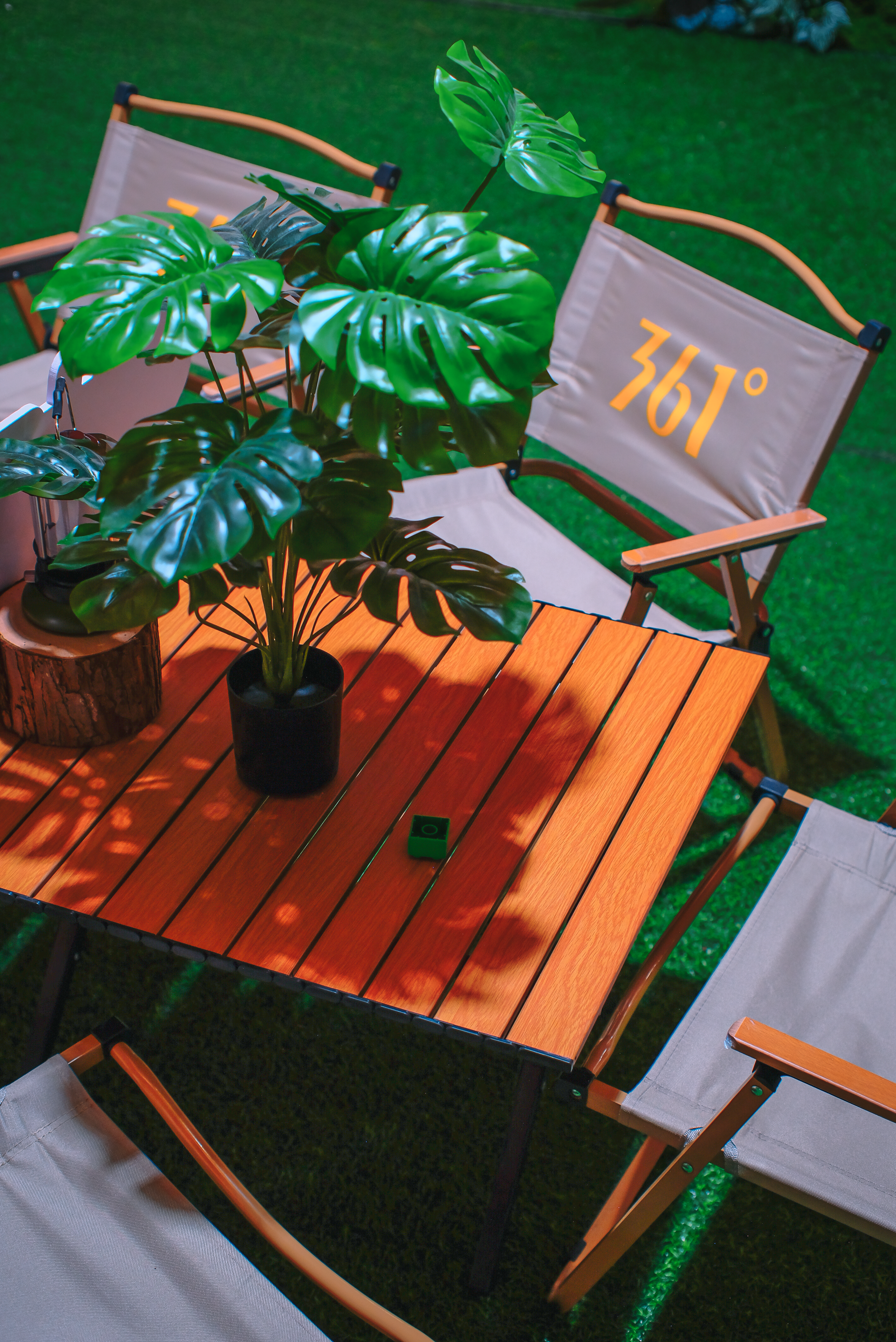 Outdoor Patio Setup with Chairs and Tropical Plant · Free Stock Photo