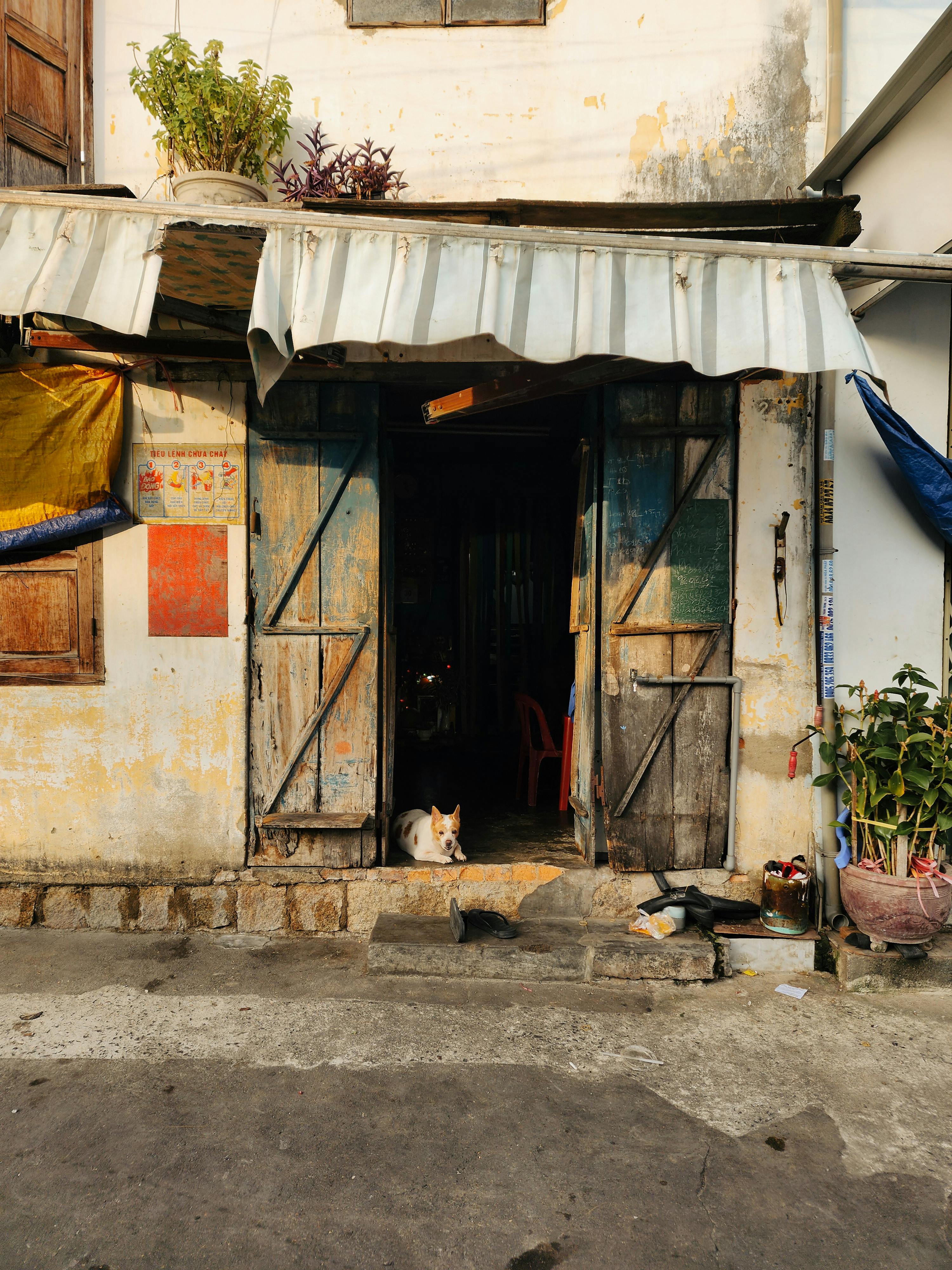 Dustbin In House Photos, Download The BEST Free Dustbin In House Stock ...