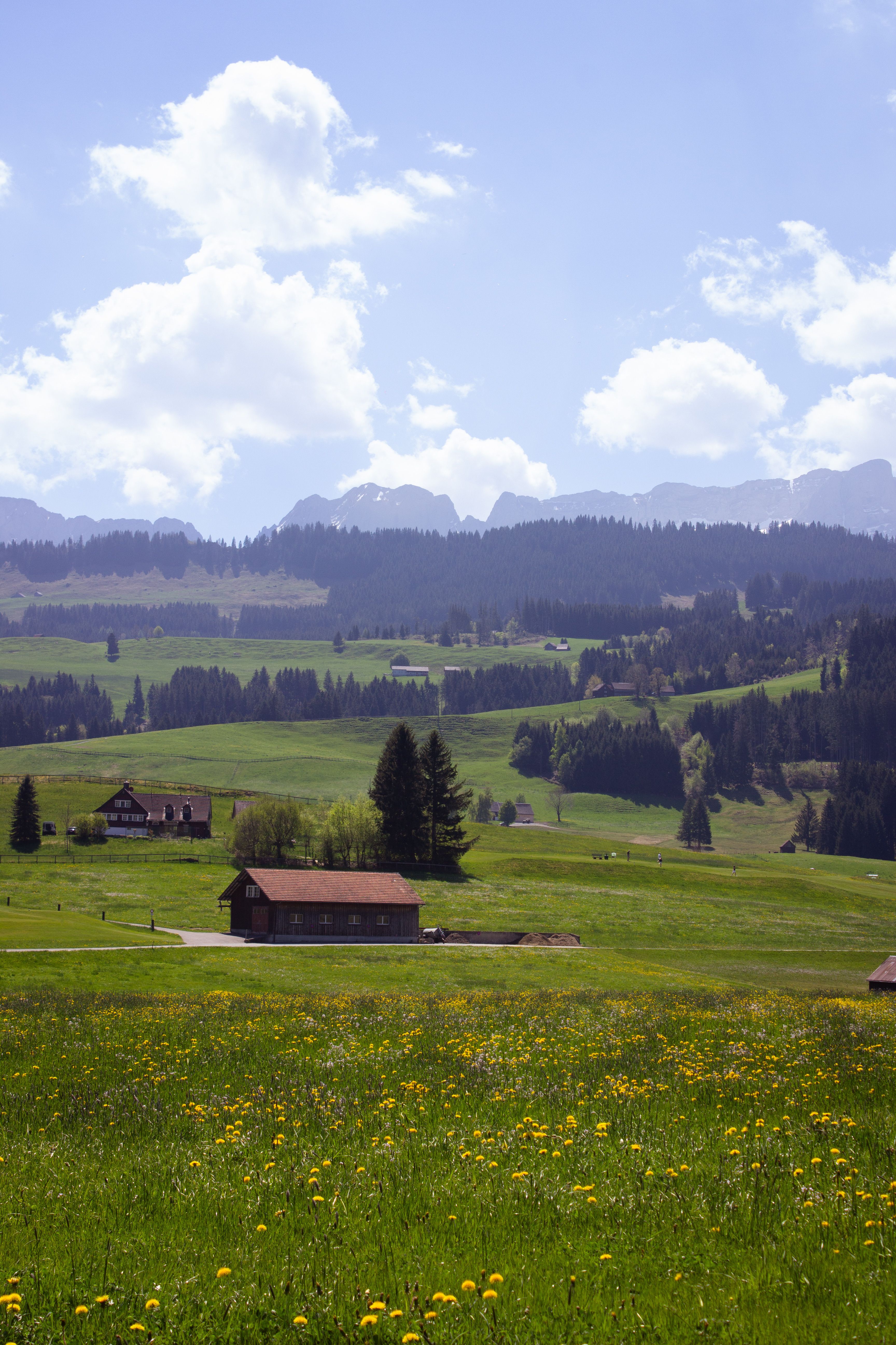 Idyllic Swiss Countryside with Mountains and Fields · Free Stock Photo